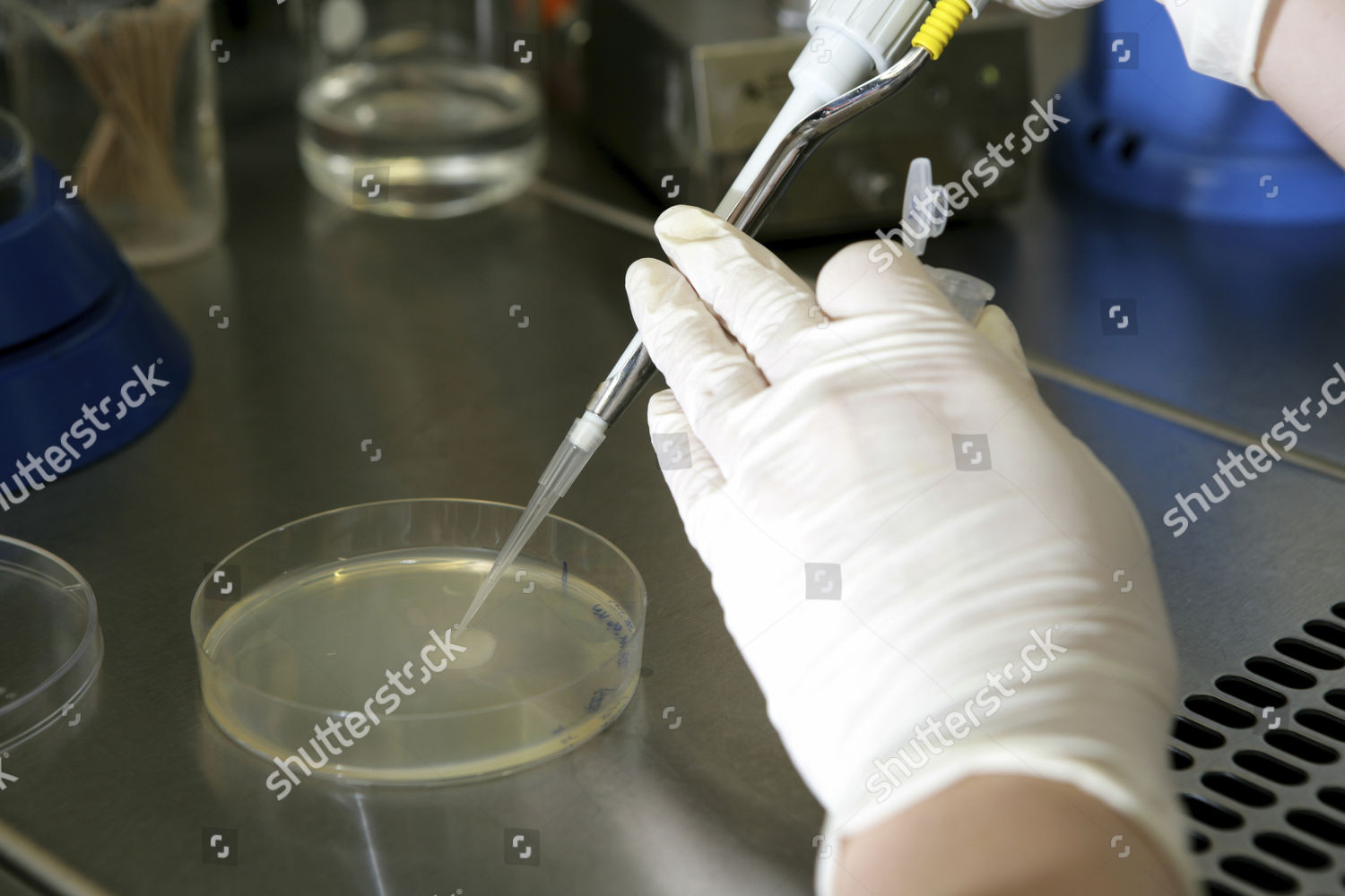 Bio Technology Bio Laboratory Analysis Chemical Editorial Stock Photo ...