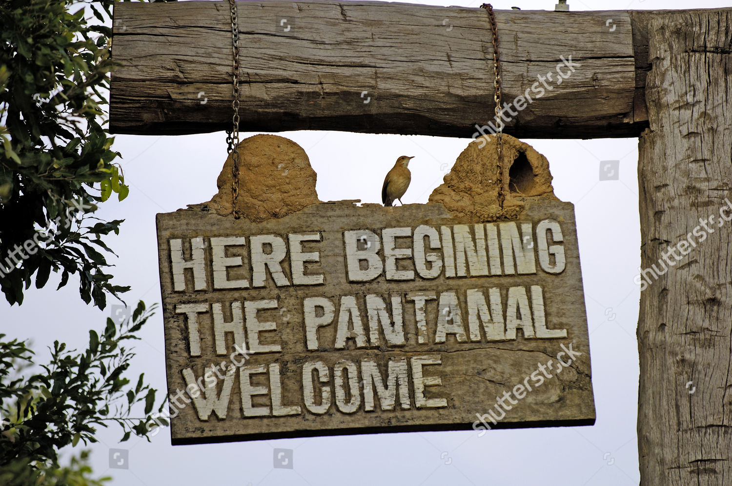 Signboard Nests Furnarius Rufus Entry Gate Editorial Stock Photo ...
