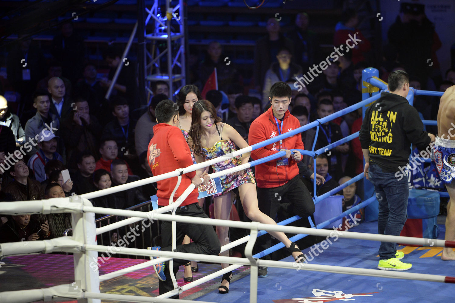 Ring Girls Boxing Match Who Hold Editorial Stock Photo - Stock Image ...