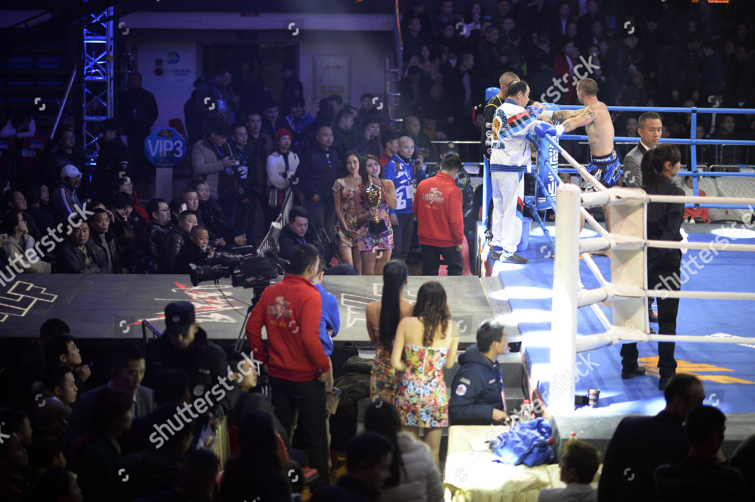 Ring Girls Boxing Match Who Hold Editorial Stock Photo - Stock Image ...