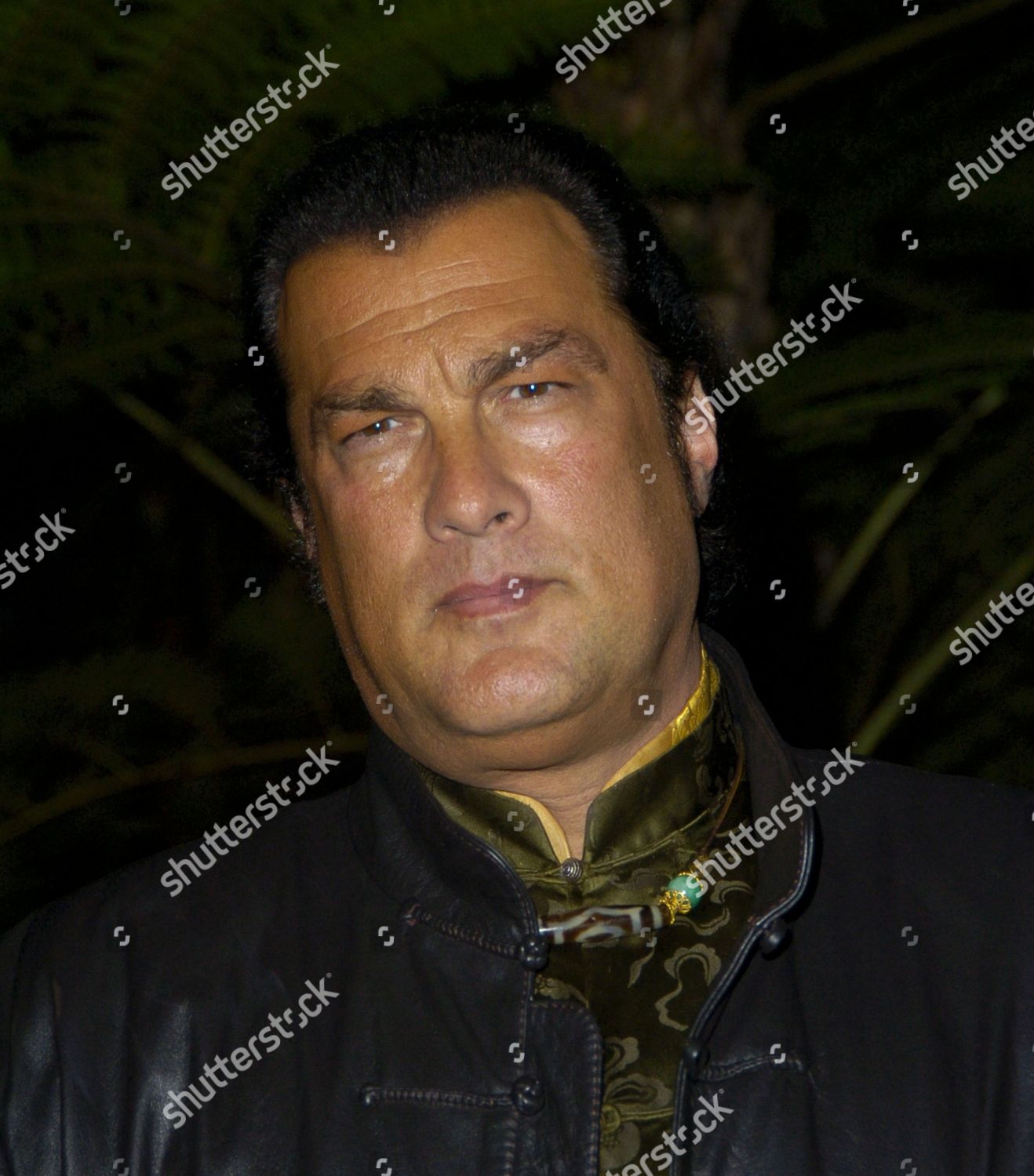 Steven Seagal Editorial Stock Photo - Stock Image | Shutterstock