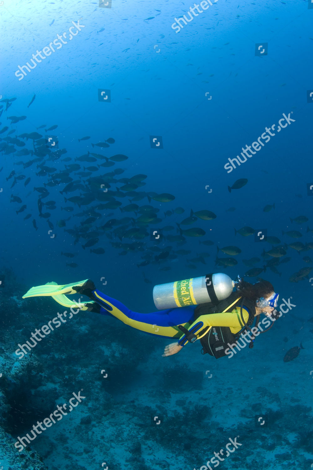 Model Released Diver Nitrox Tank Swims Editorial Stock Photo - Stock ...