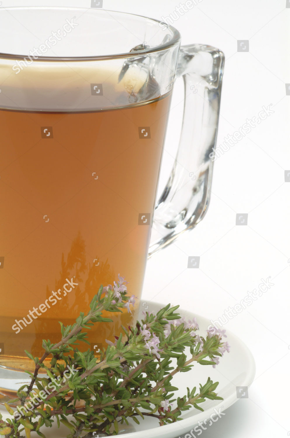 Herb Tea Made Thyme Thymus Vulgaris Editorial Stock Photo - Stock Image ...
