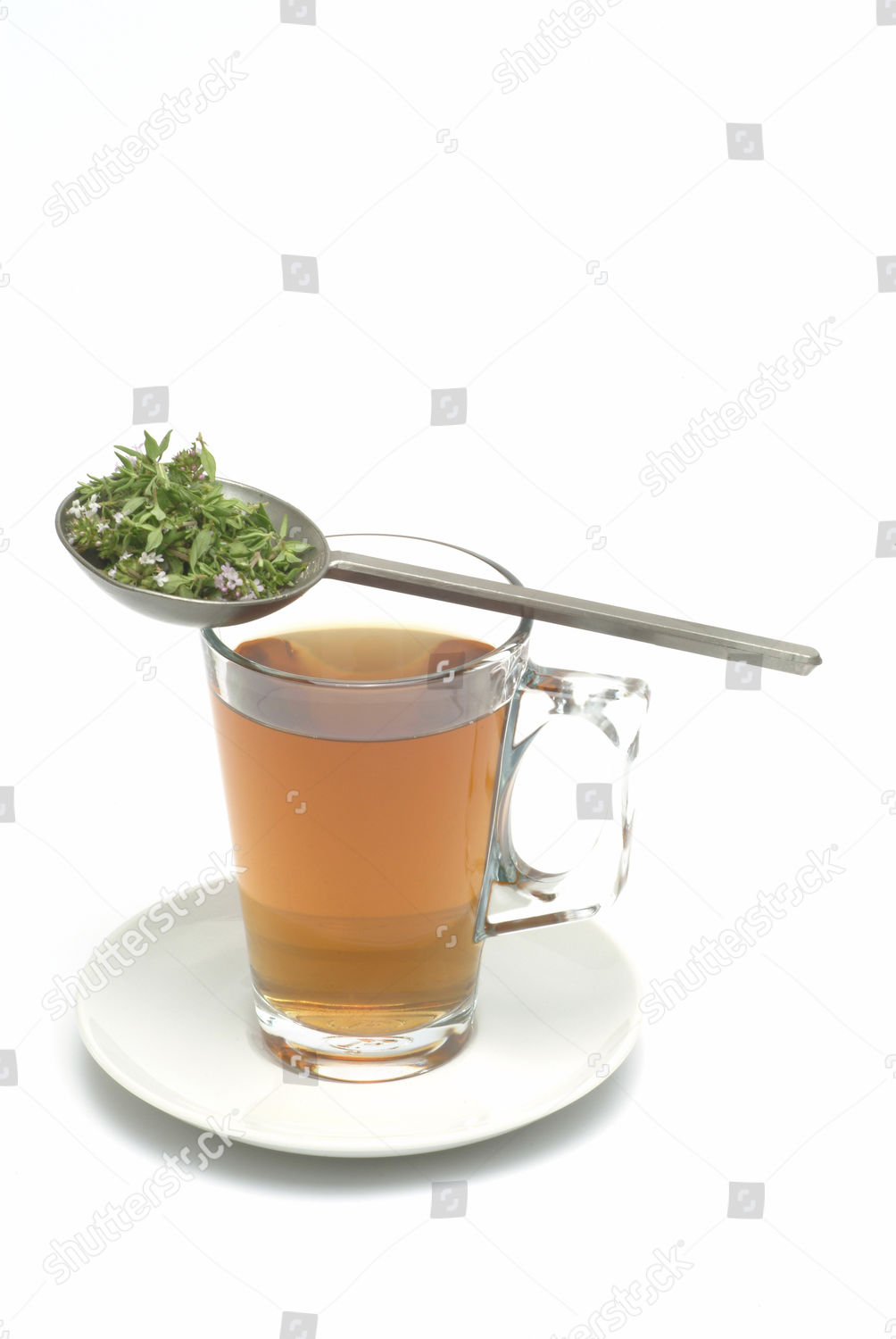 Herb Tea Made Thyme Thymus Vulgaris Editorial Stock Photo - Stock Image ...