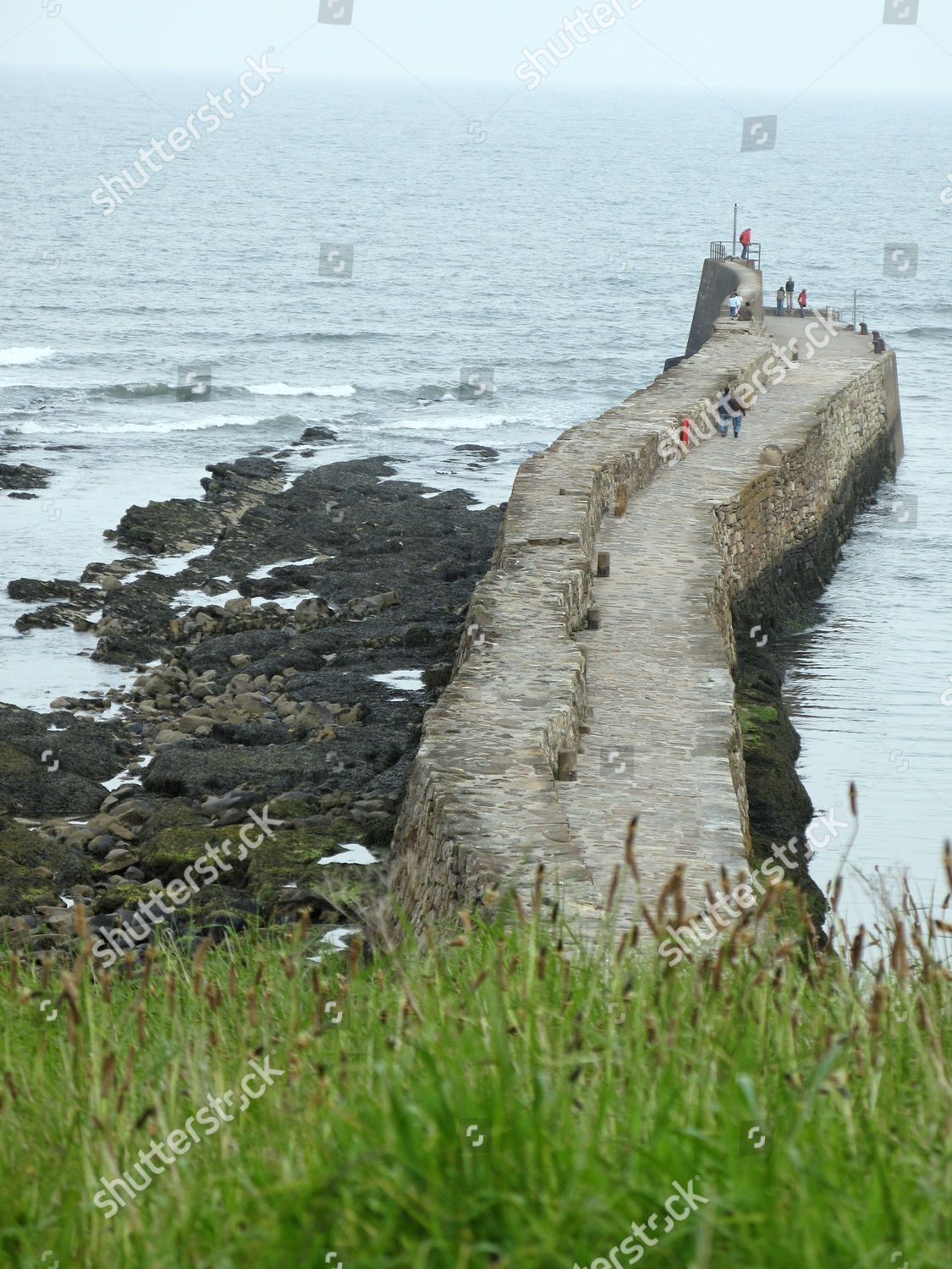 Stone Jetty Sea St Andrews Scotland Editorial Stock Photo - Stock Image ...