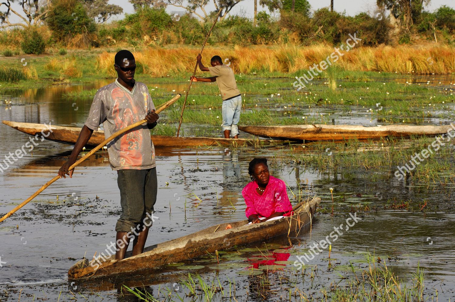Local Bayei People Tradiional Mokoro Dugout Editorial Stock Photo ...