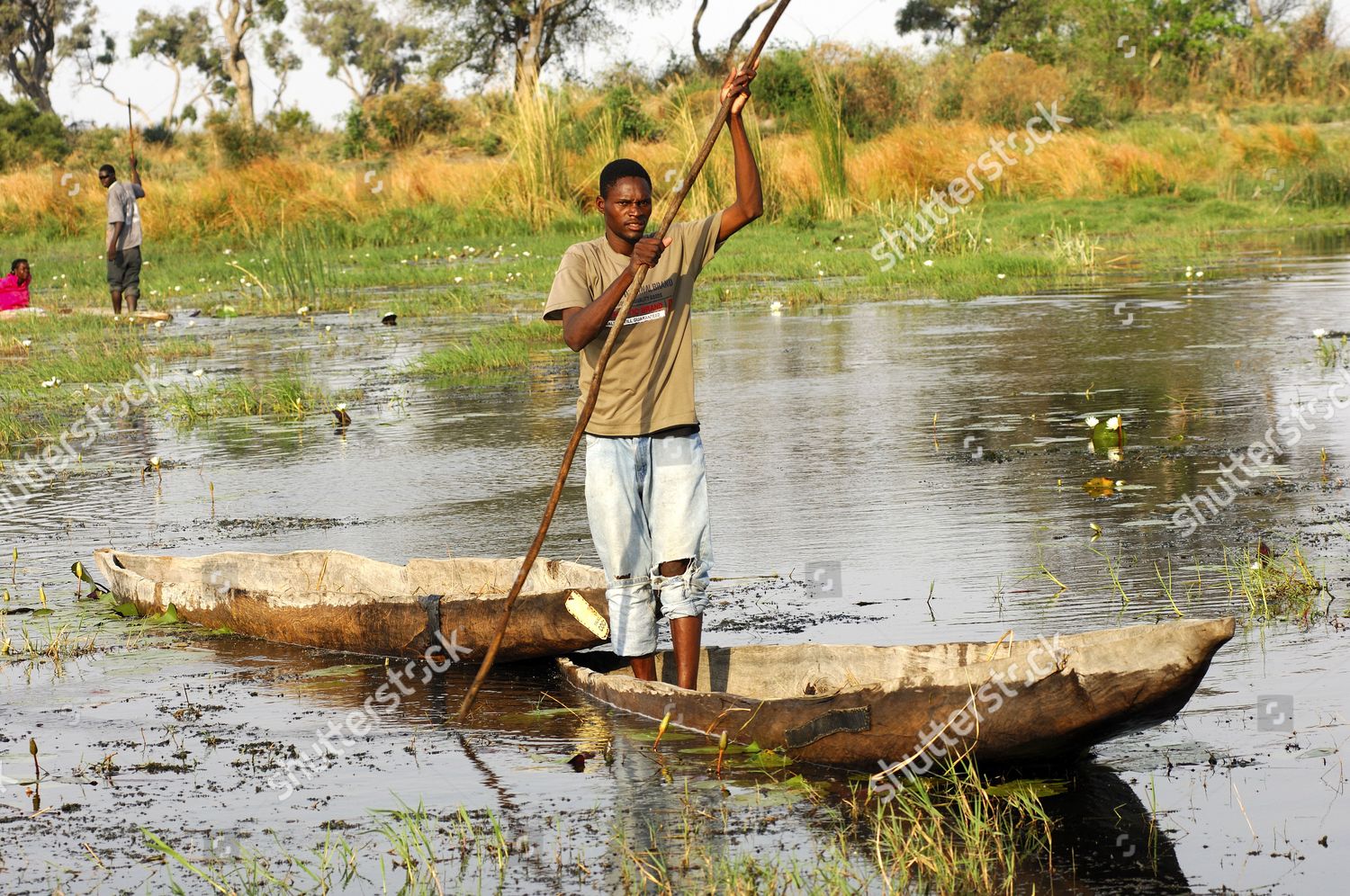 Local Bayei People Tradiional Mokoro Dugout Editorial Stock Photo ...