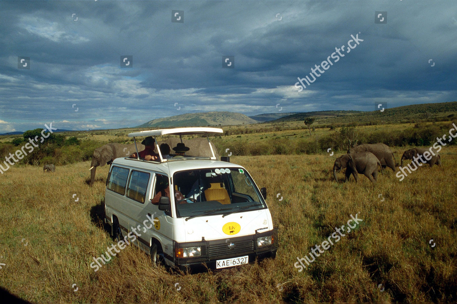Elephant Hurd Safari Bus Kenya Africa Editorial Stock Photo - Stock ...