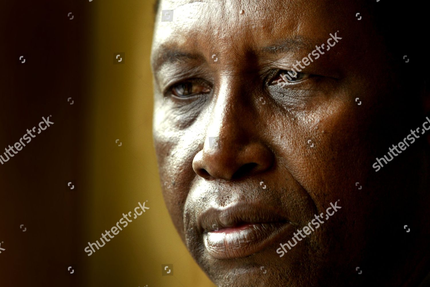Archbishop Ncube Called Action Against Robert Editorial Stock Photo - Stock Image | Shutterstock
