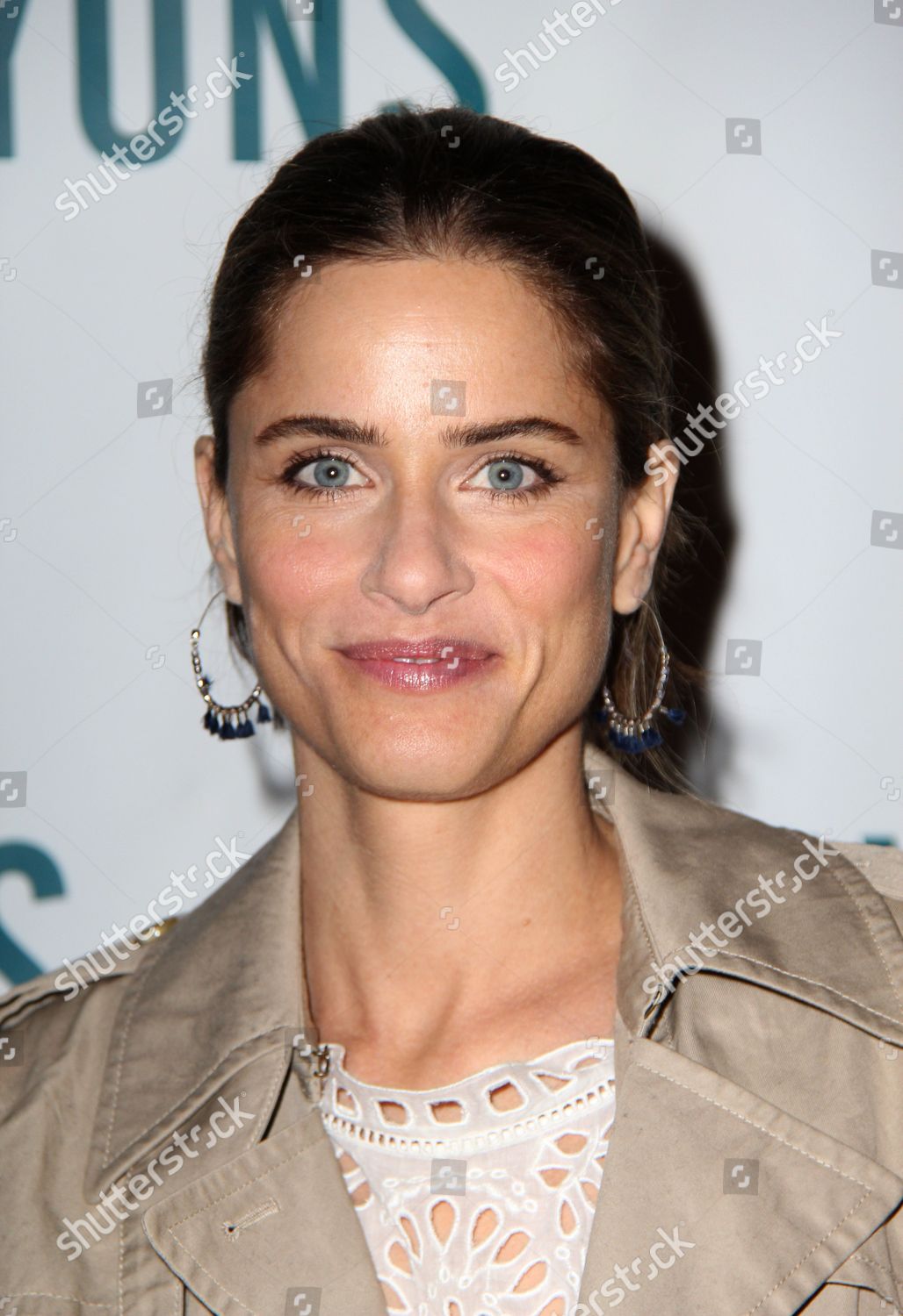 Amanda Peet Editorial Stock Photo - Stock Image | Shutterstock