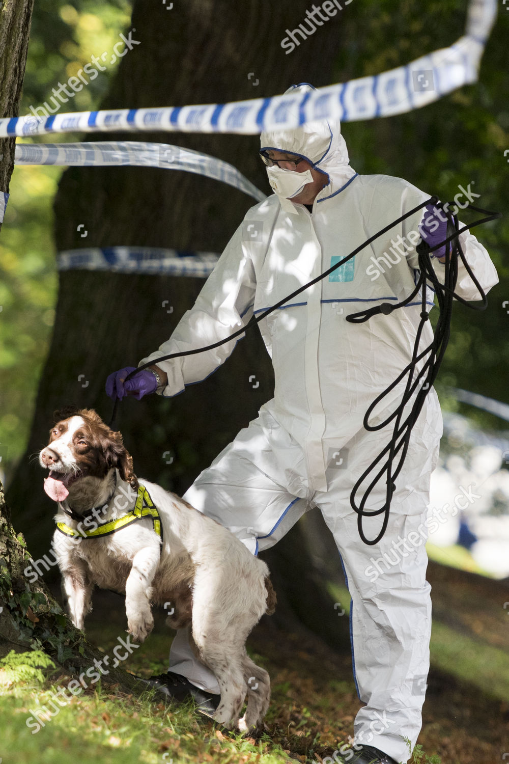 Forensic Officer Sniffer Dog Gorsedd Gardens Editorial Stock Photo ...