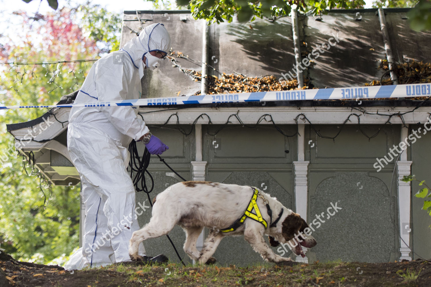 Forensic Officer Sniffer Dog Gorsedd Gardens Editorial Stock Photo ...
