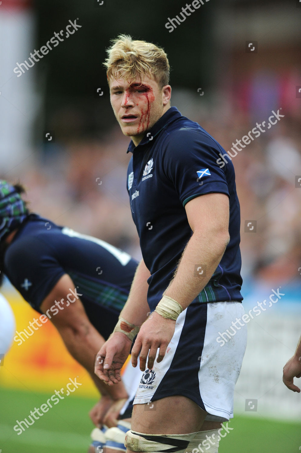 David Denton Scotland Number 8 Stands Editorial Stock Photo - Stock ...