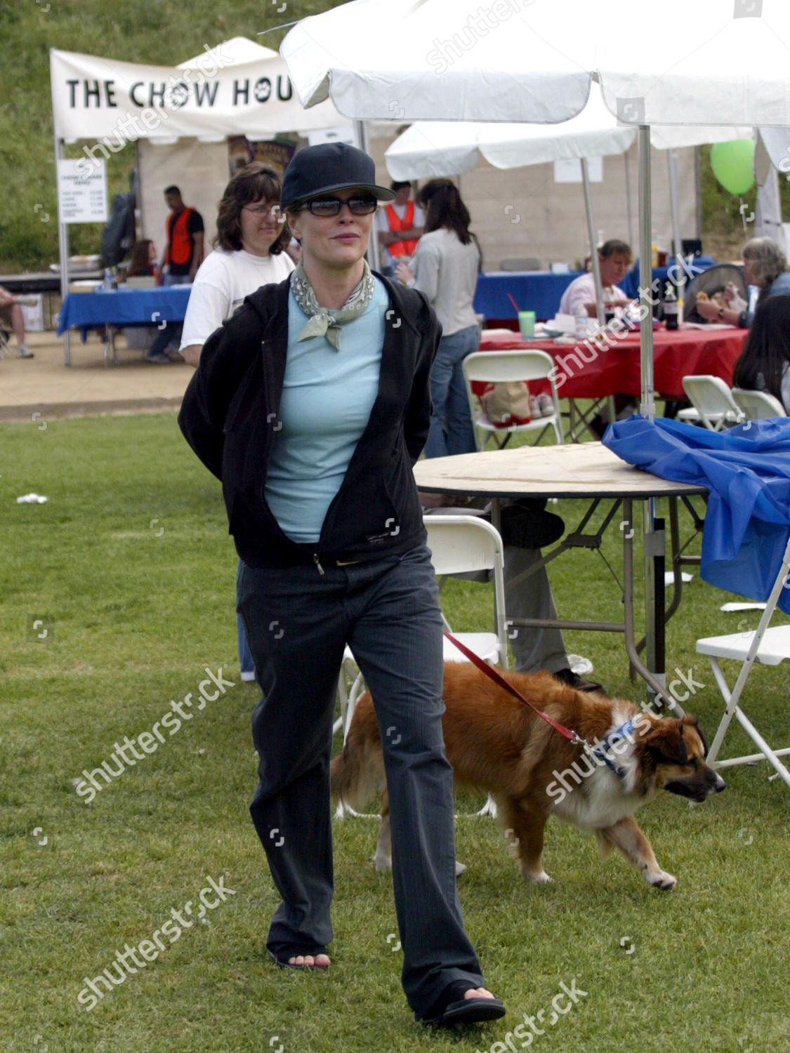 Kim Basinger Dog Jack Jack Editorial Stock Photo - Stock Image ...