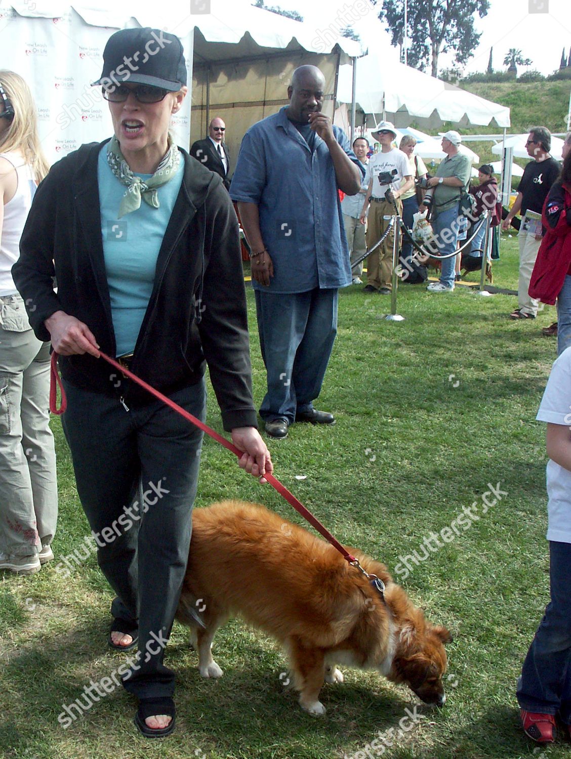 Kim Basinger Dog Jack Jack Editorial Stock Photo - Stock Image ...