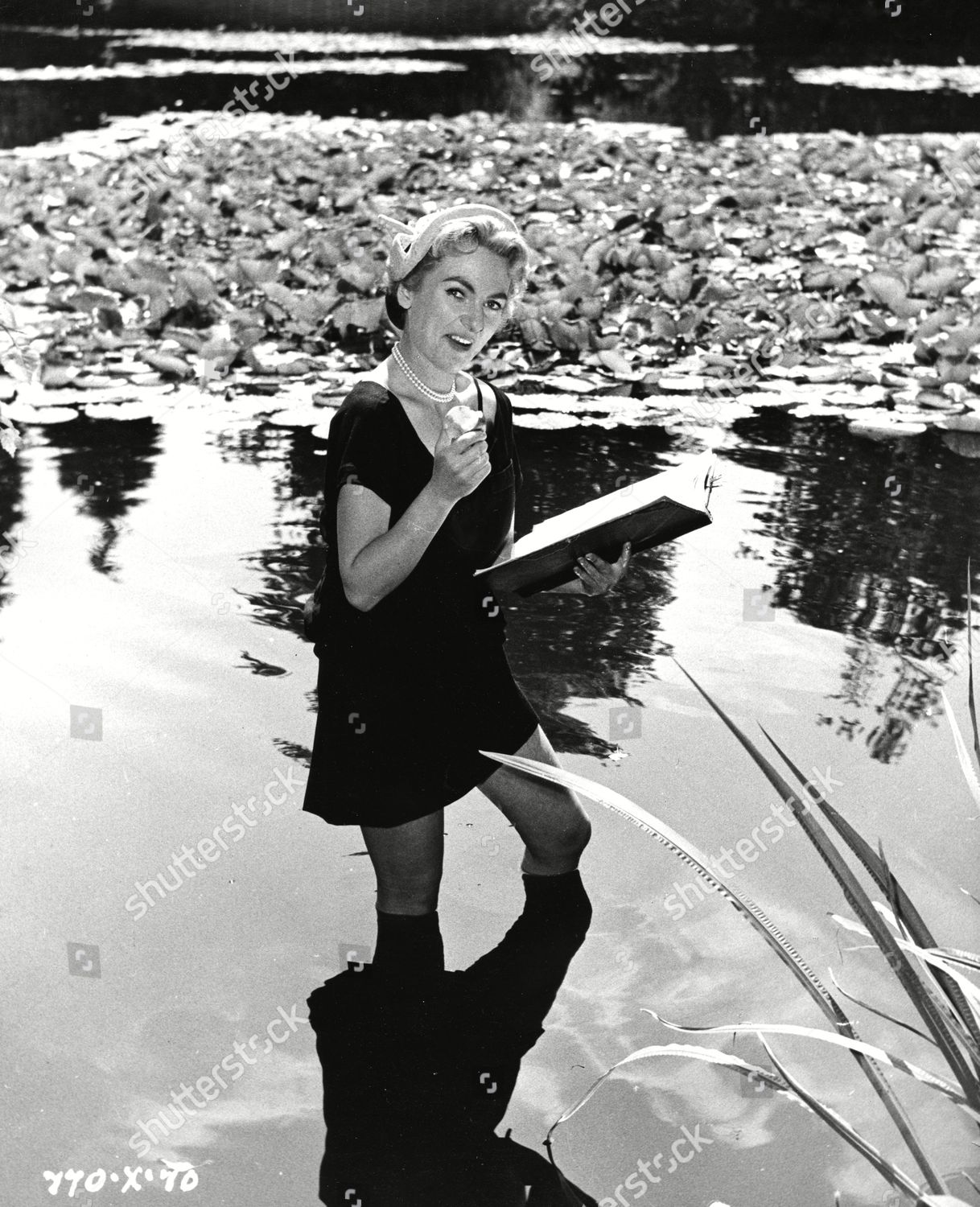 Delphi Lawrence Editorial Stock Photo - Stock Image | Shutterstock