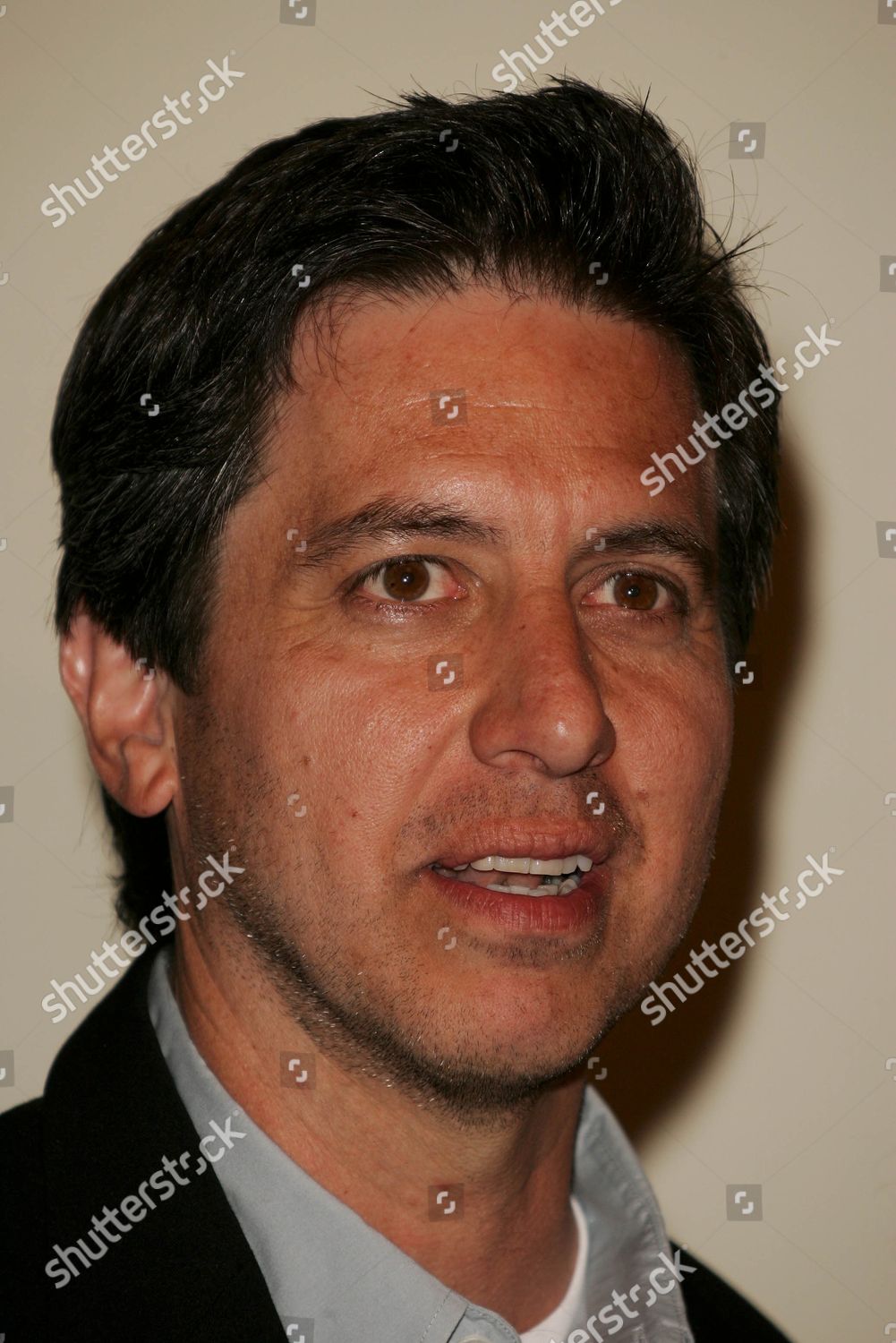 Ray Romano Editorial Stock Photo - Stock Image | Shutterstock
