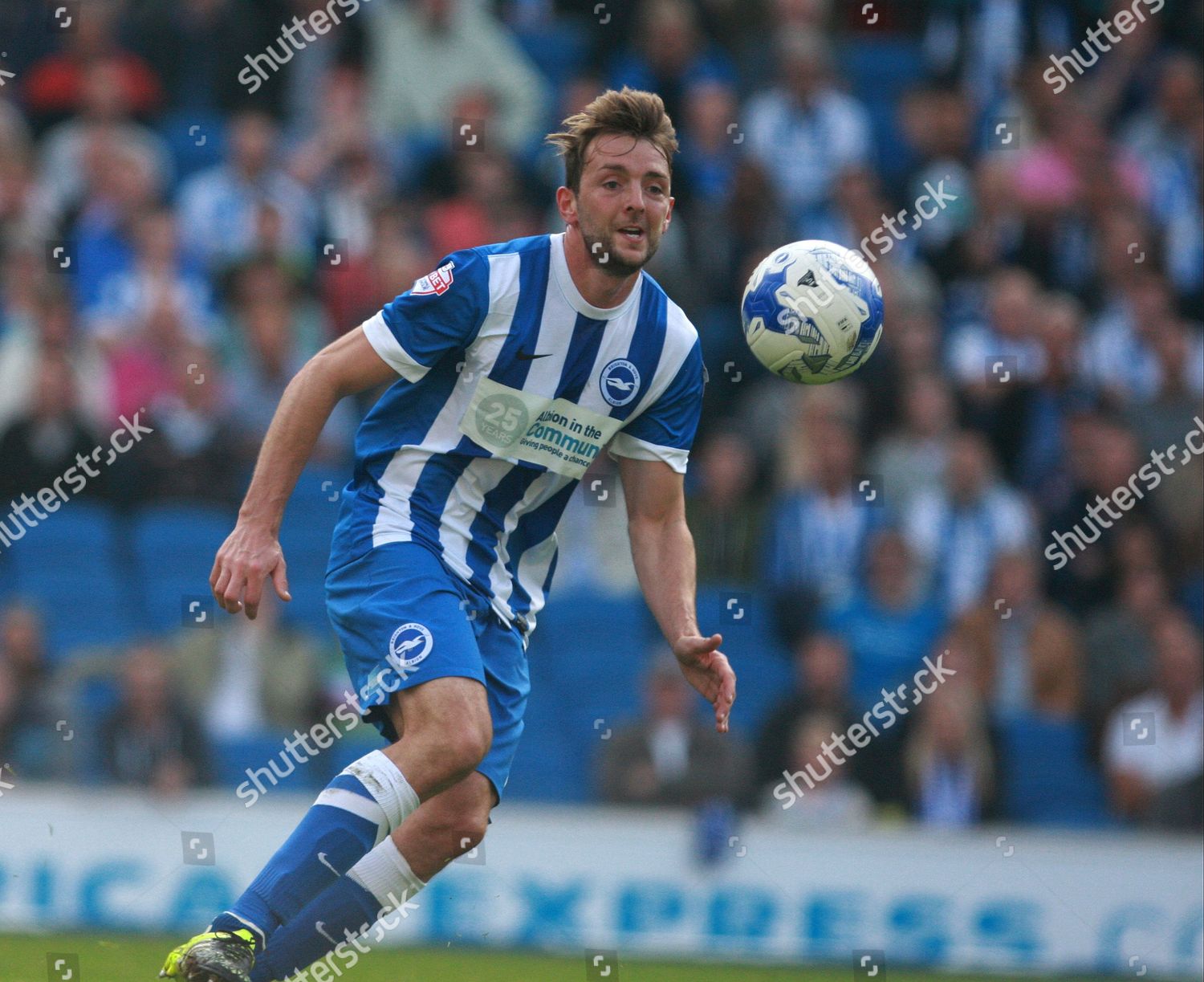 Brighton Central Midfielder Dale Stephens Looks Editorial Stock Photo ...