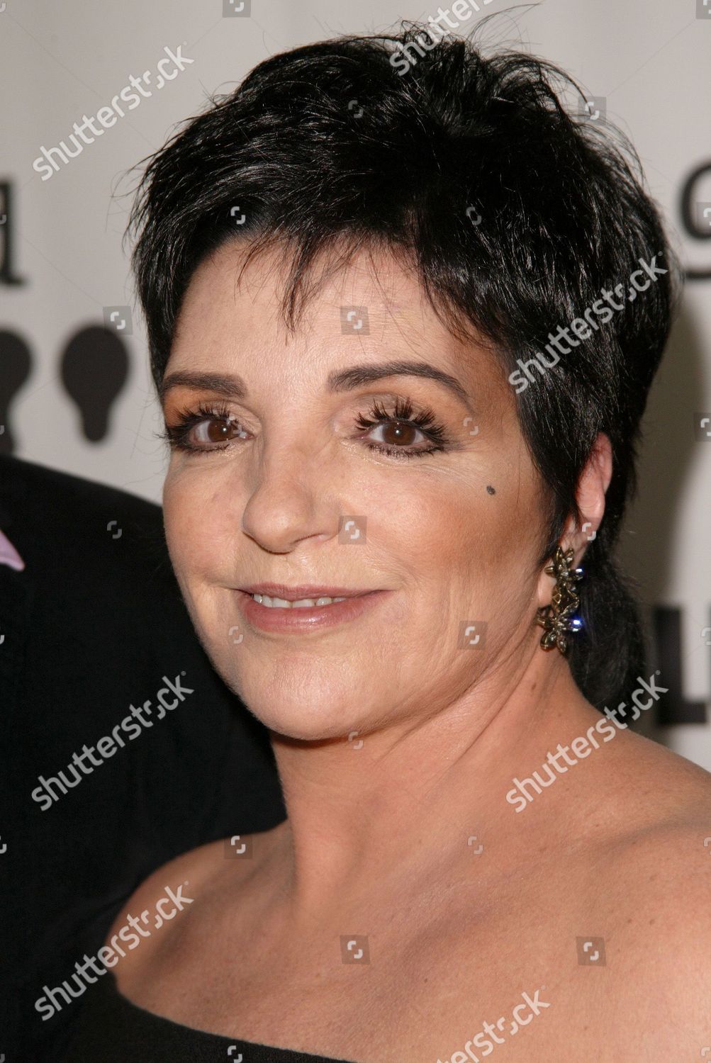 Liza Minnelli Editorial Stock Photo - Stock Image | Shutterstock Liza Minnelli Editorial Stock Photo - Stock Image | Shutterstock