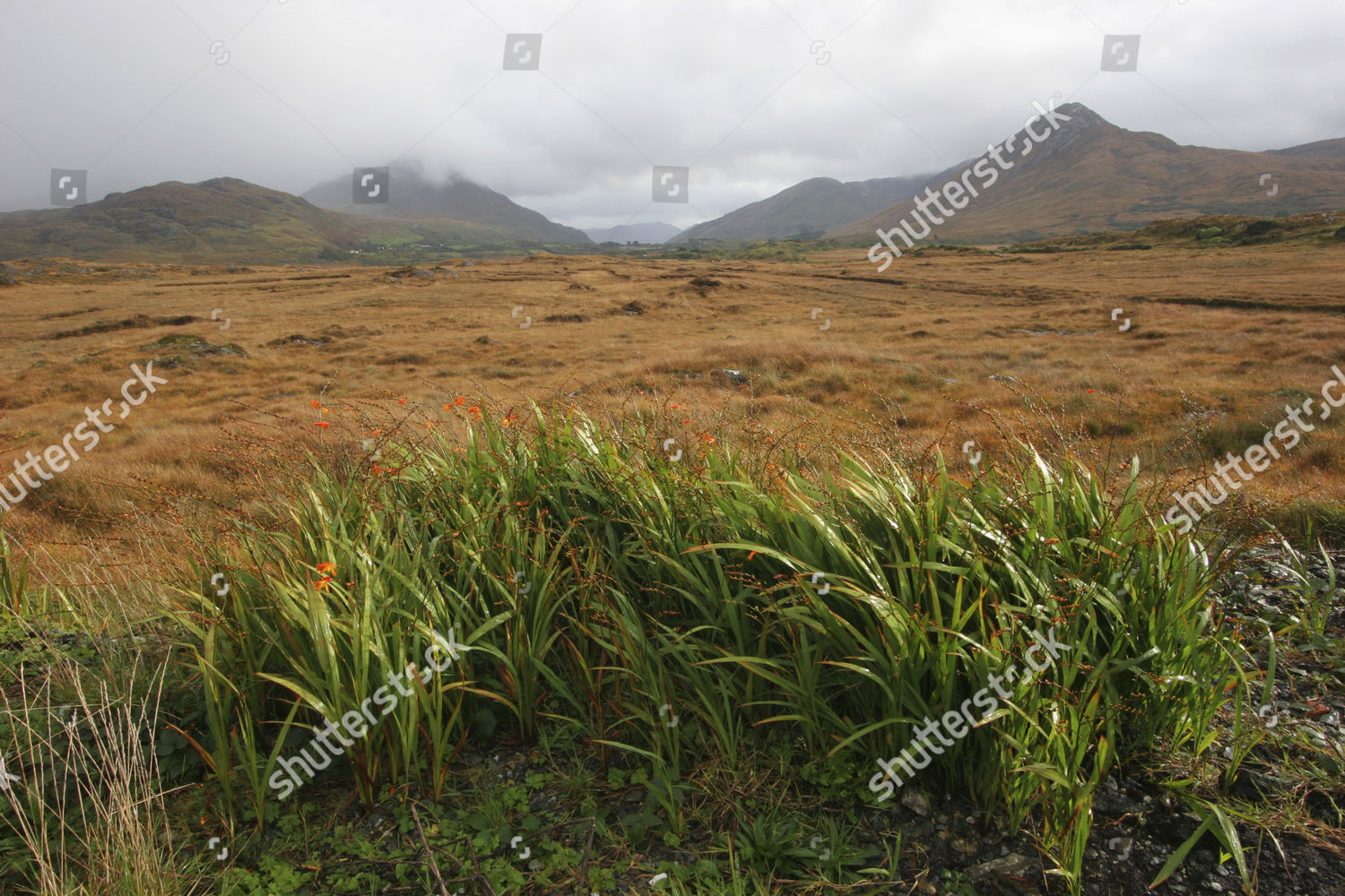 Mountainlandscape Letterfrack Connemara Connacht Ireland Europe ...