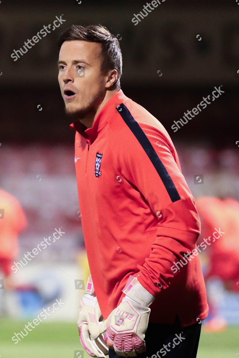 York City Goalkeeper Michael Ingham During Editorial Stock Photo ...