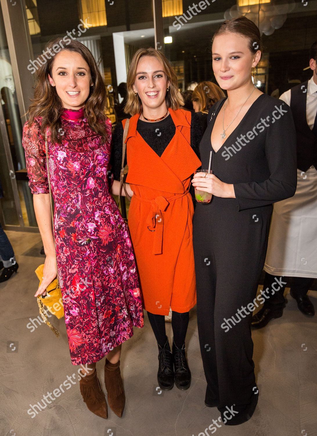 Rosanna Falconer Lady Alice Manners Rose Editorial Stock Photo - Stock ...