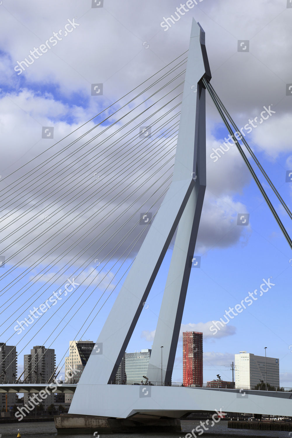 Cablestayed Bridge Erasmusbrug Erasmus Bridge Pylon Editorial Stock ...