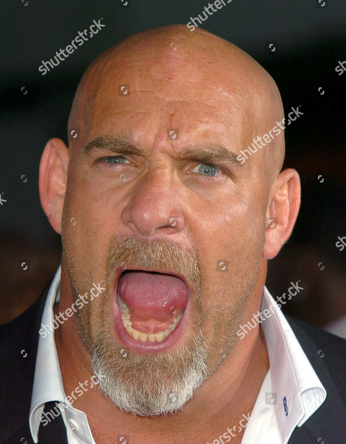 Bill Goldberg Editorial Stock Photo - Stock Image | Shutterstock