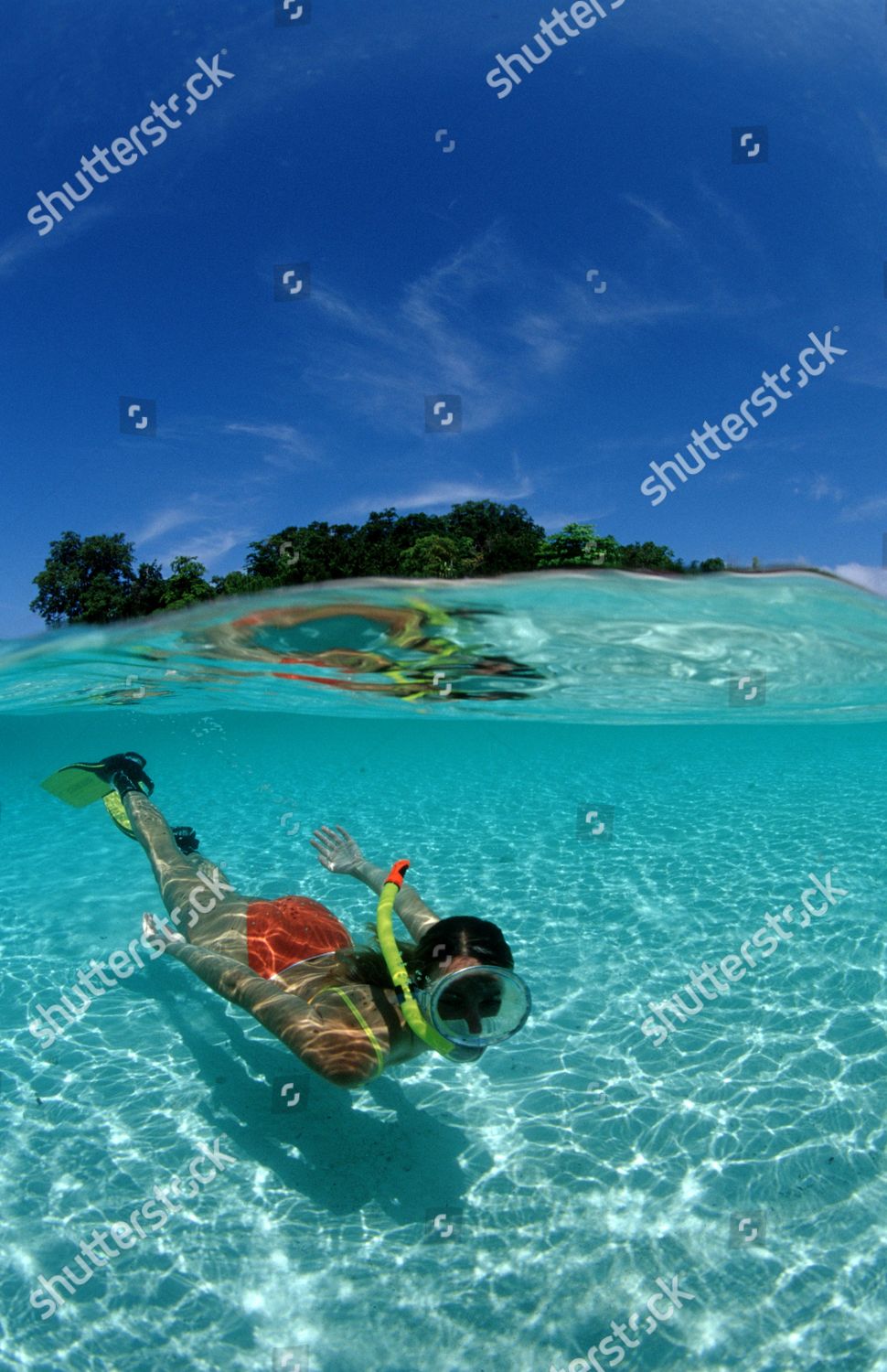 Model Released Skindiving Skin Diver Split Editorial Stock Photo ...