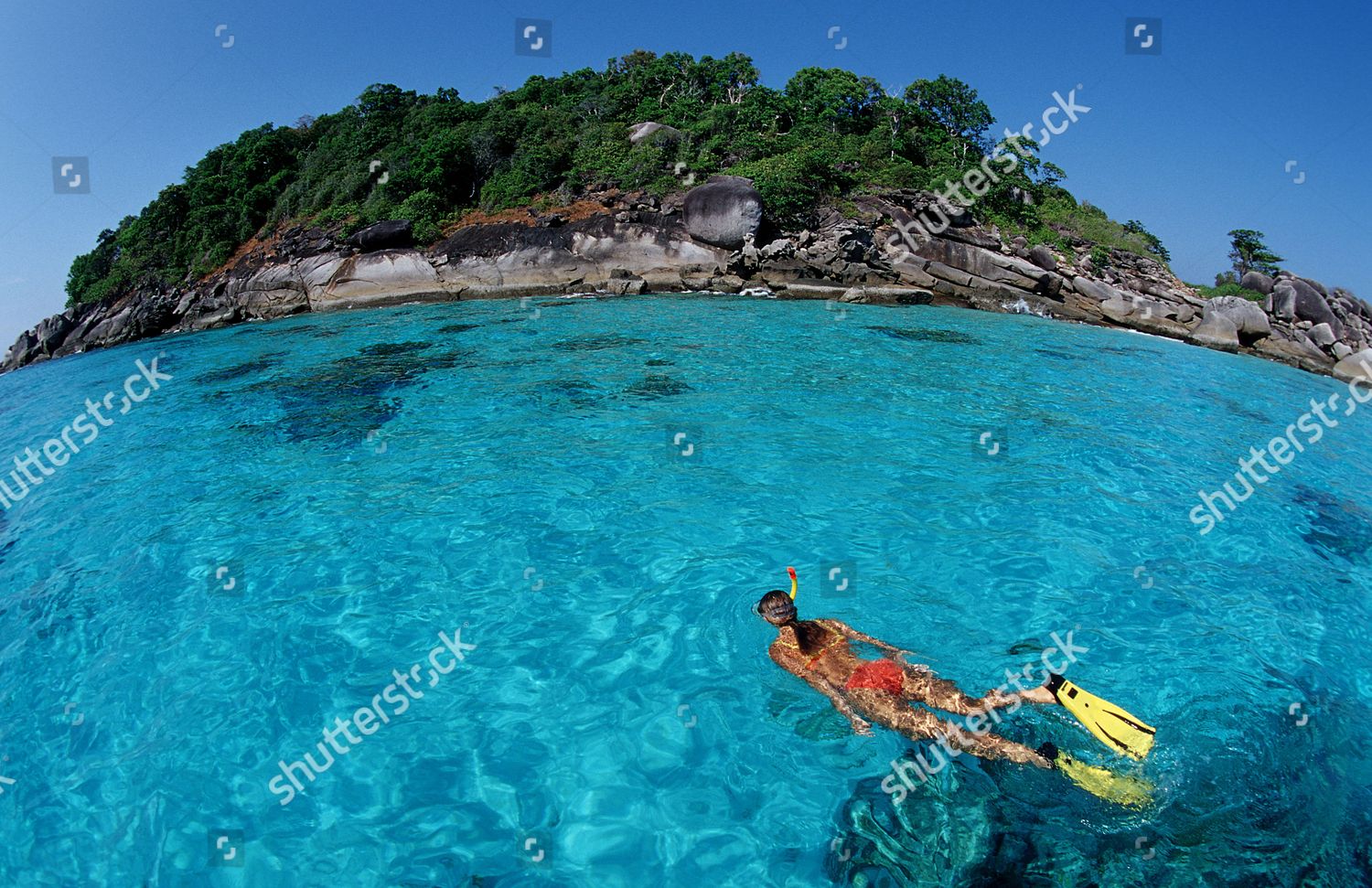 Model Released Snorkeling Woman Editorial Stock Photo - Stock Image ...