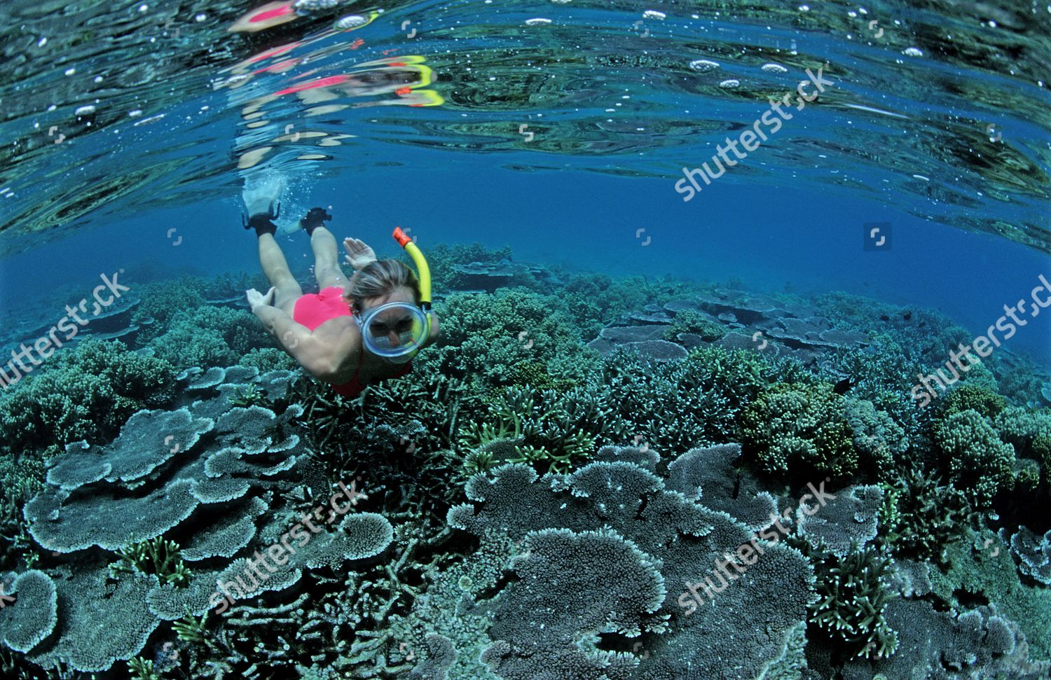 Model Released Snorkeling Near Island Scin Editorial Stock Photo ...