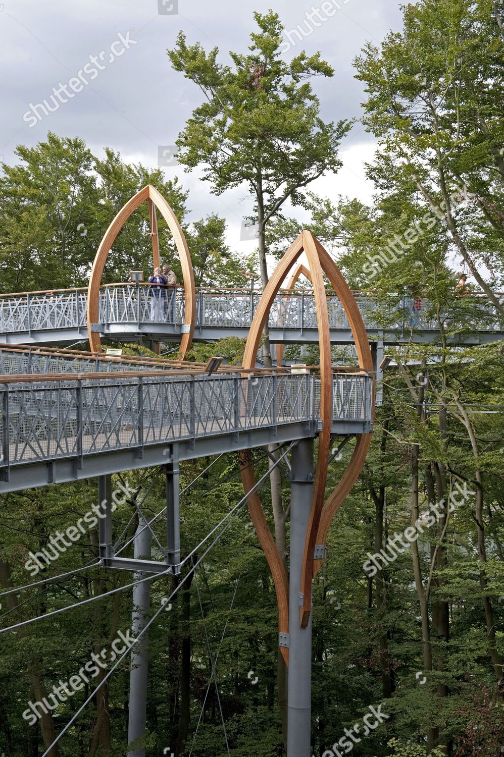 Treetop Walk Kellerwald National Park Forest Editorial Stock Photo ...