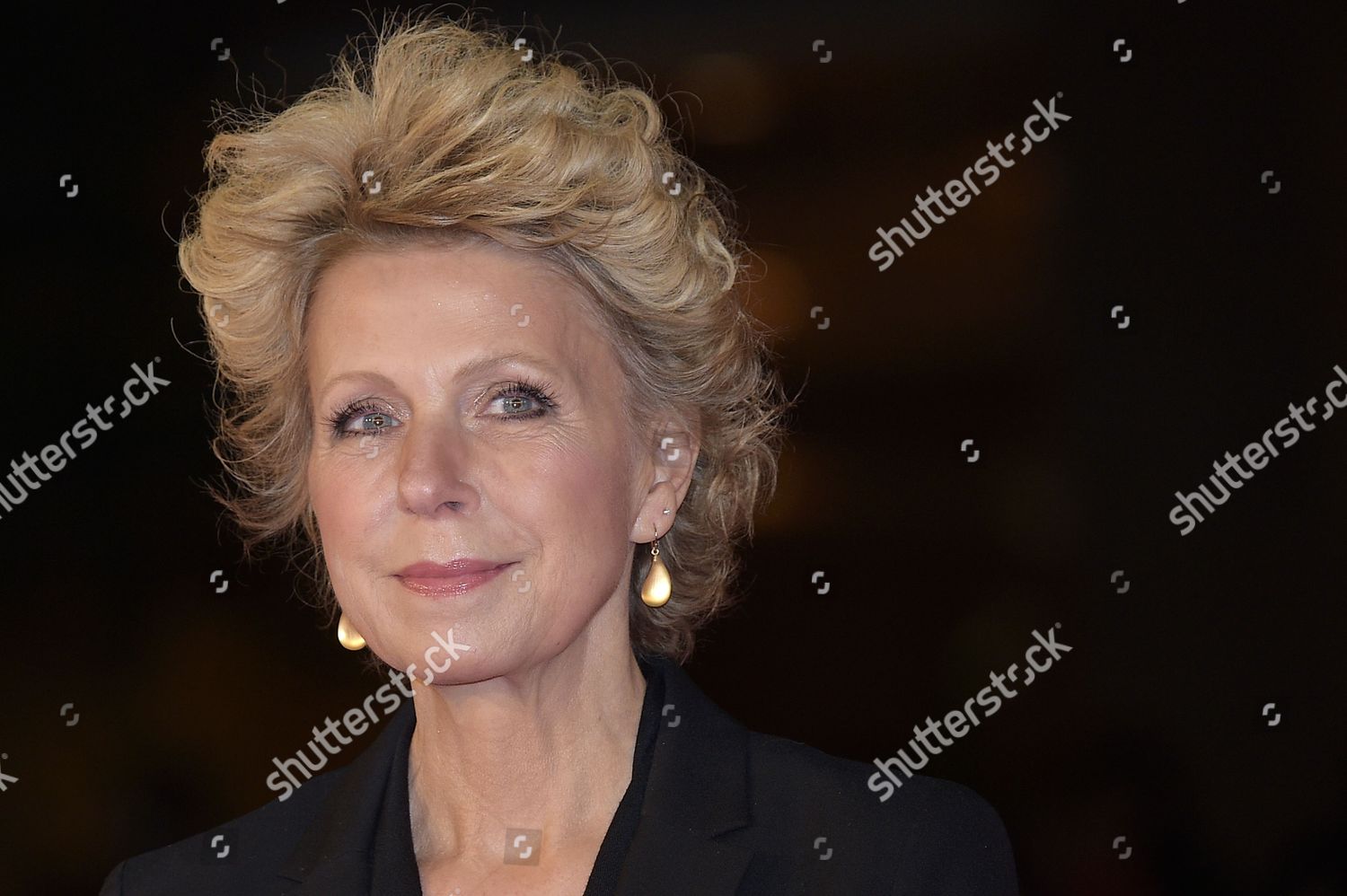 Mary Mapes Journalist Writer Author Book Editorial Stock Photo - Stock ...
