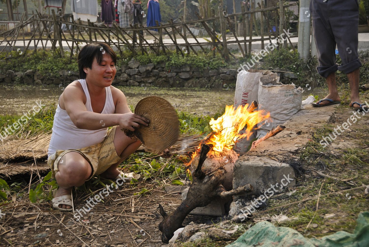 Vietnamese Man Preparing Goat Feast Coat Editorial Stock Photo - Stock ...