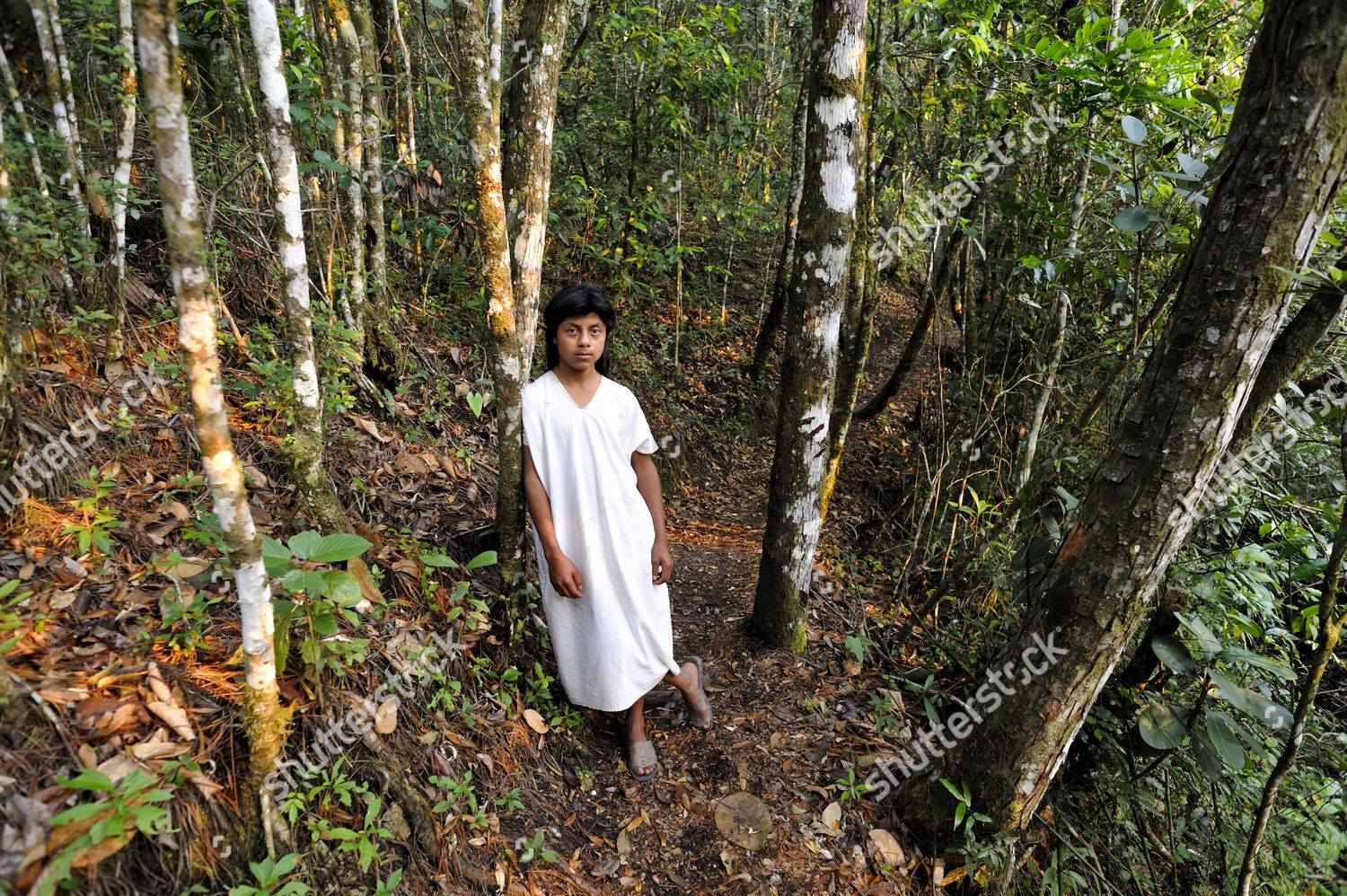 Child Lacandon Maya Rainforest Chiapas Last Editorial Stock Photo ...