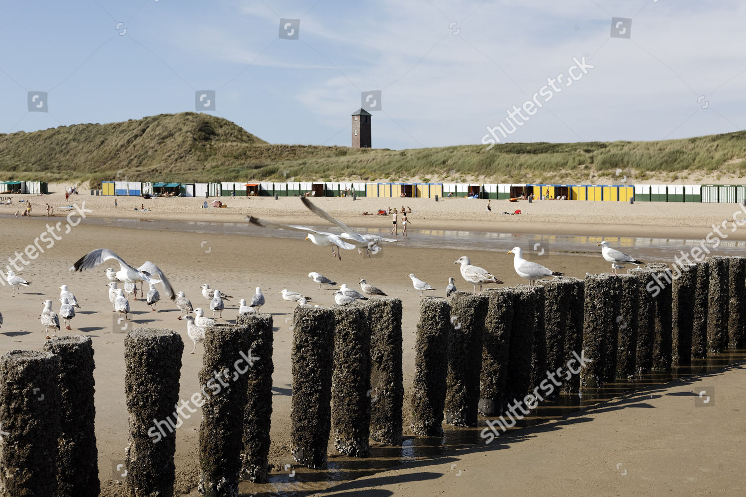 Beach On North Sea Timber Groynes Editorial Stock Photo - Stock Image ...