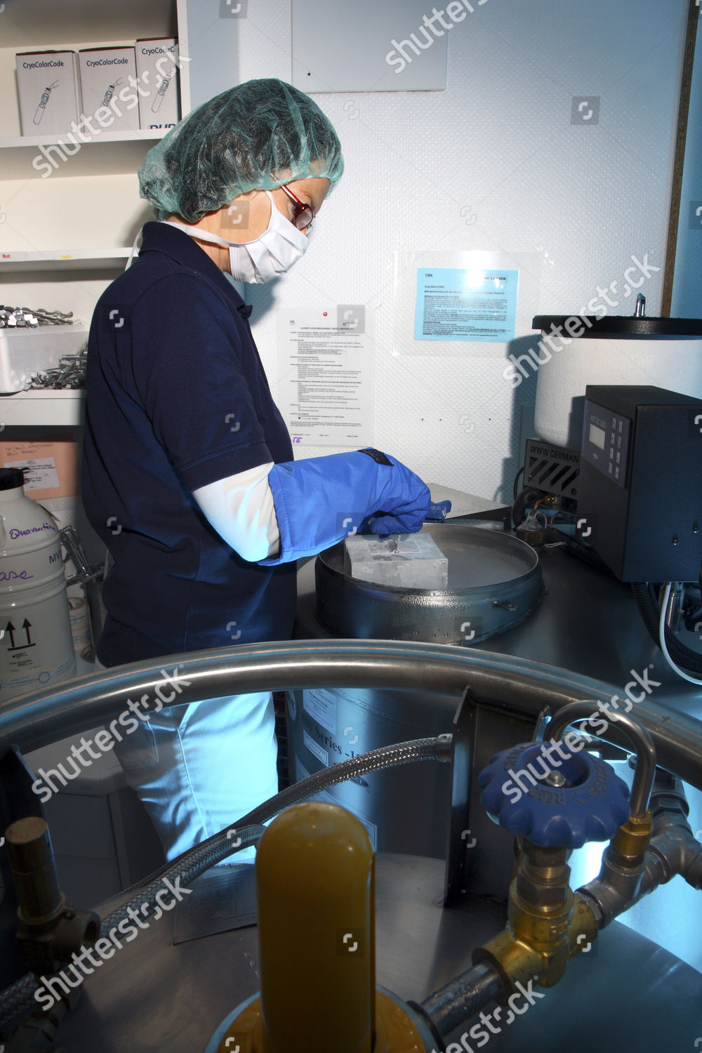 Model Released Artificial Insemination Centre Reproductive Editorial ...