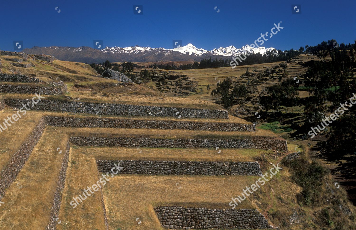 Agricultural Terraces Inca Back Andes Mountains Editorial Stock Photo ...