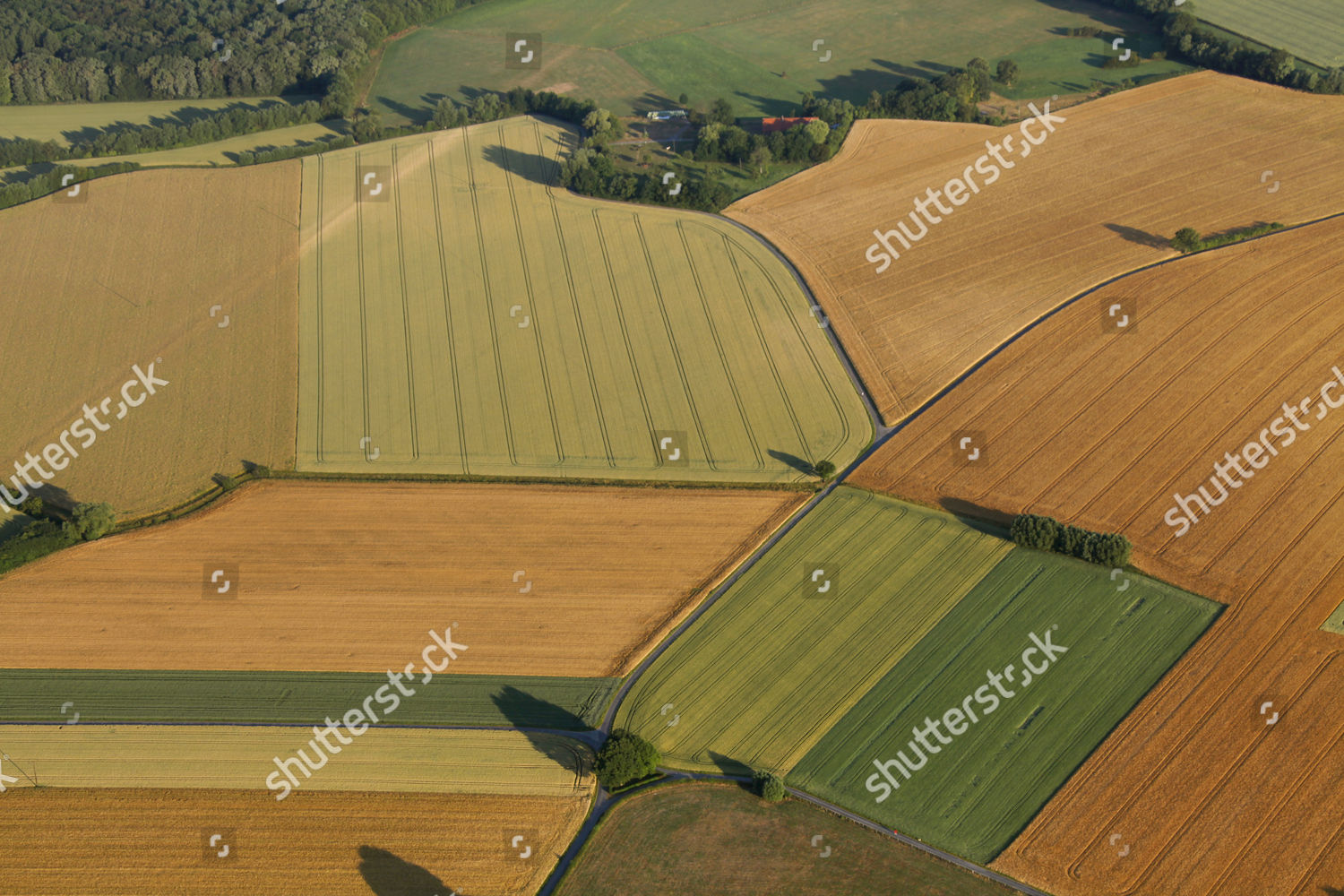 Aerial Photo Corn Fields Farming Community Editorial Stock Photo - Stock Image | Shutterstock