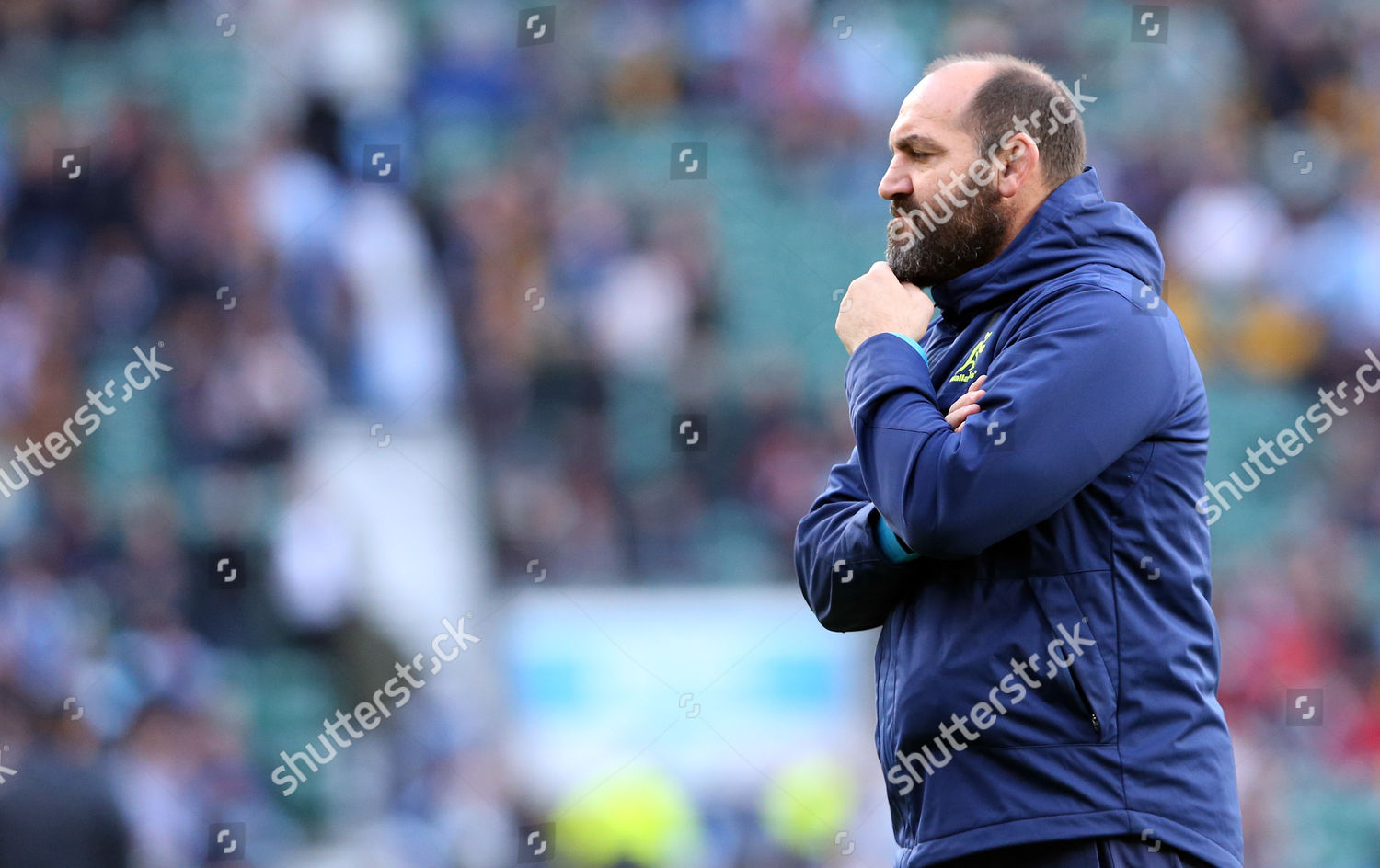 Mario Ledesma Australias Forwards Coach Editorial Stock Photo - Stock ...