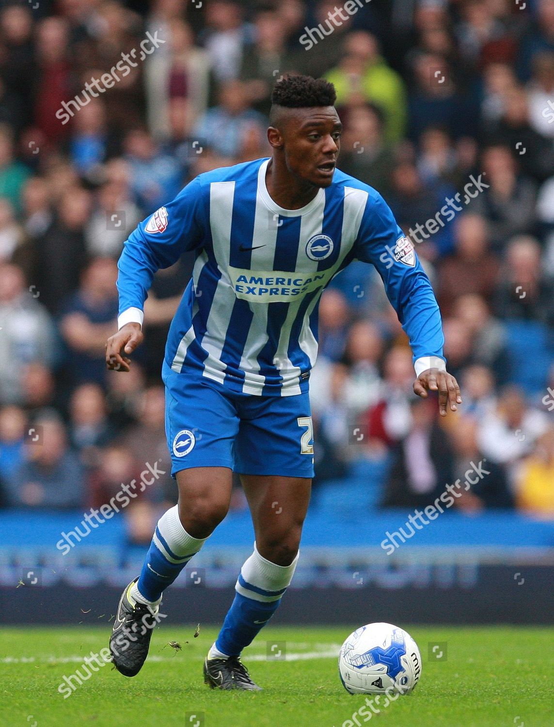 Brighton Central Midfielder Rohan Ince Looks Editorial Stock Photo ...