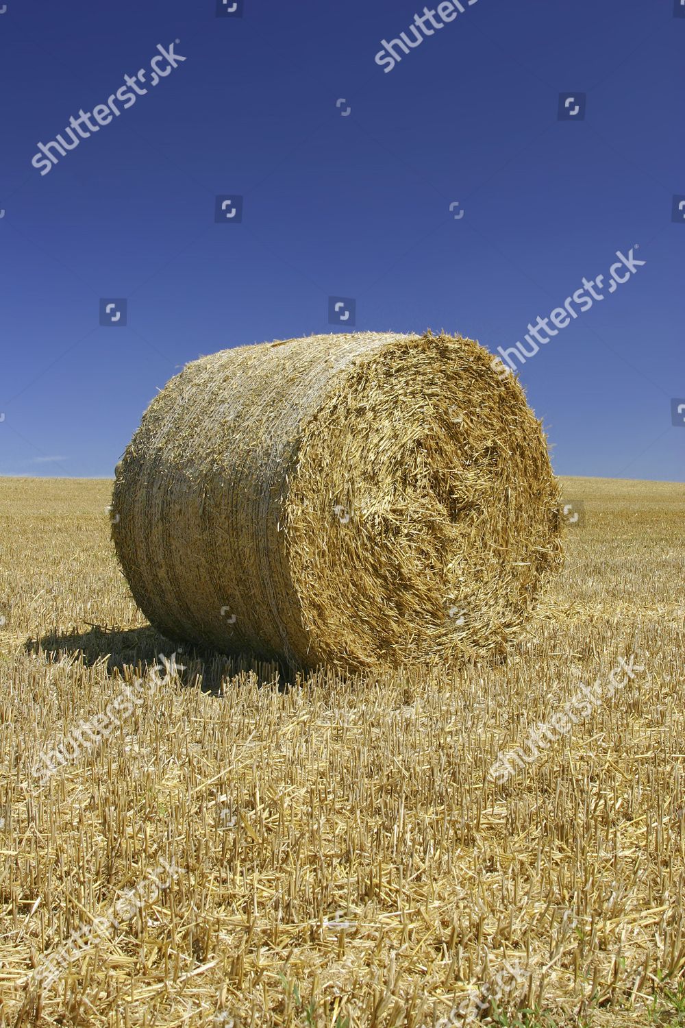 Round Bale On Stubble Field Awaiting Editorial Stock Photo - Stock ...