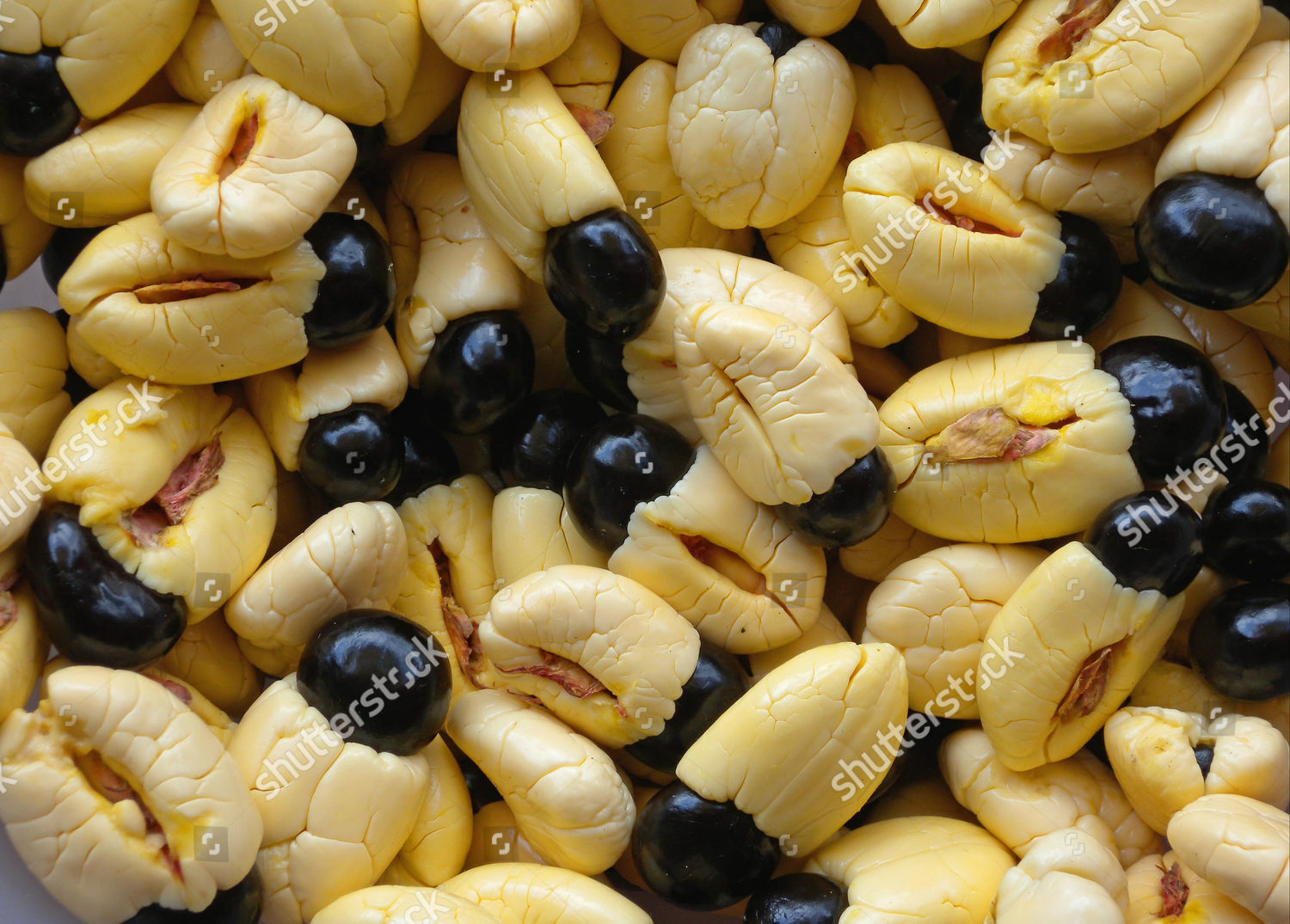 Ackee Blighia Sapida Freshly Shelled Fruit Editorial Stock Photo ...