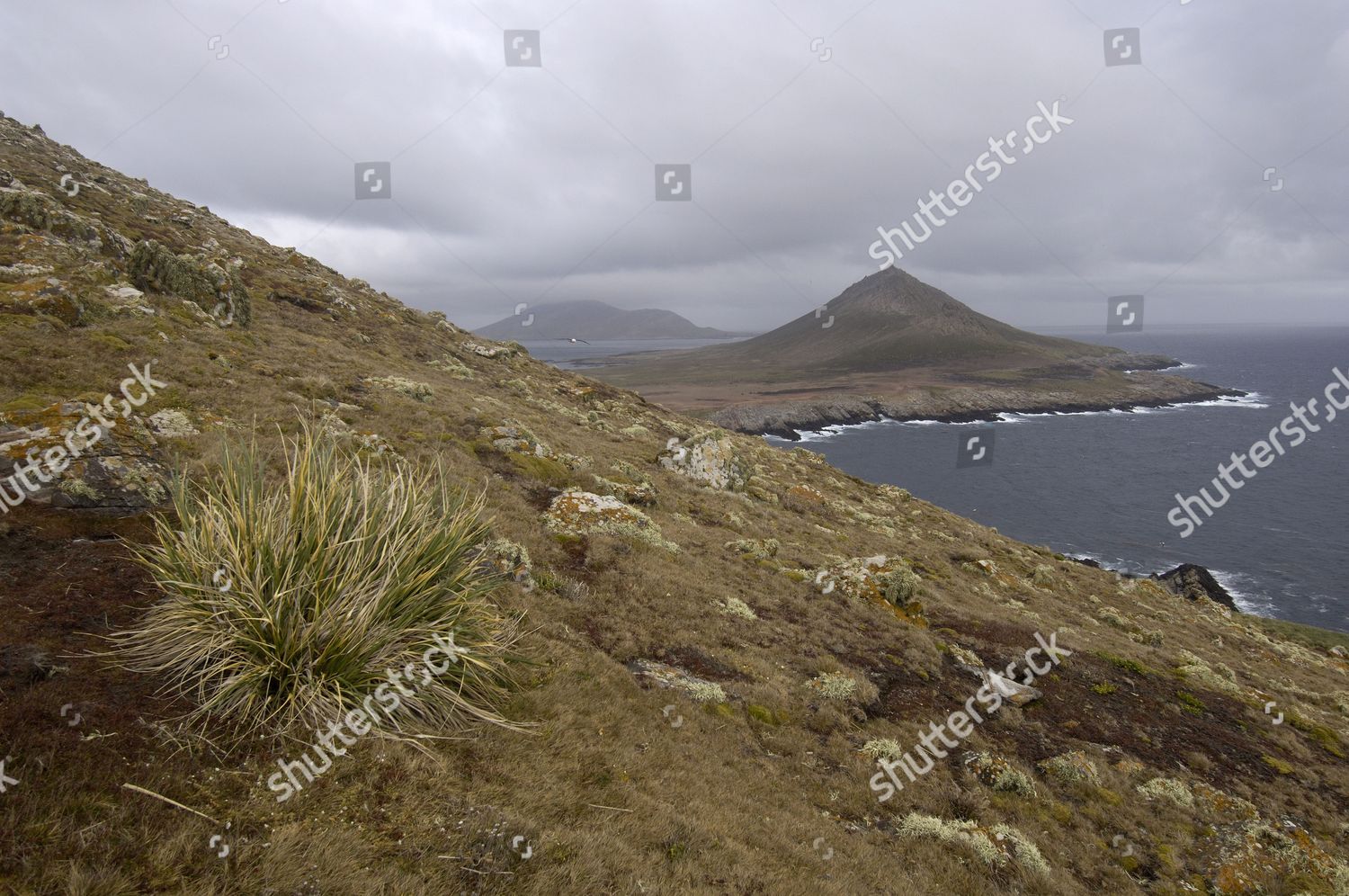 View Vegetated Slope Coastal Habitat Steeple Editorial Stock Photo ...