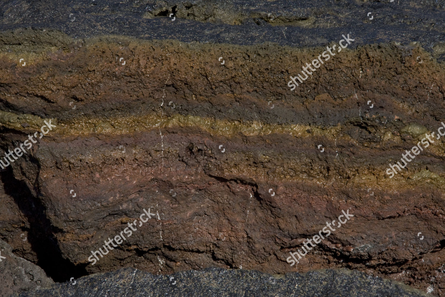 Cross Section Pahoehoe Lava Galapagos Editorial Stock Photo - Stock ...