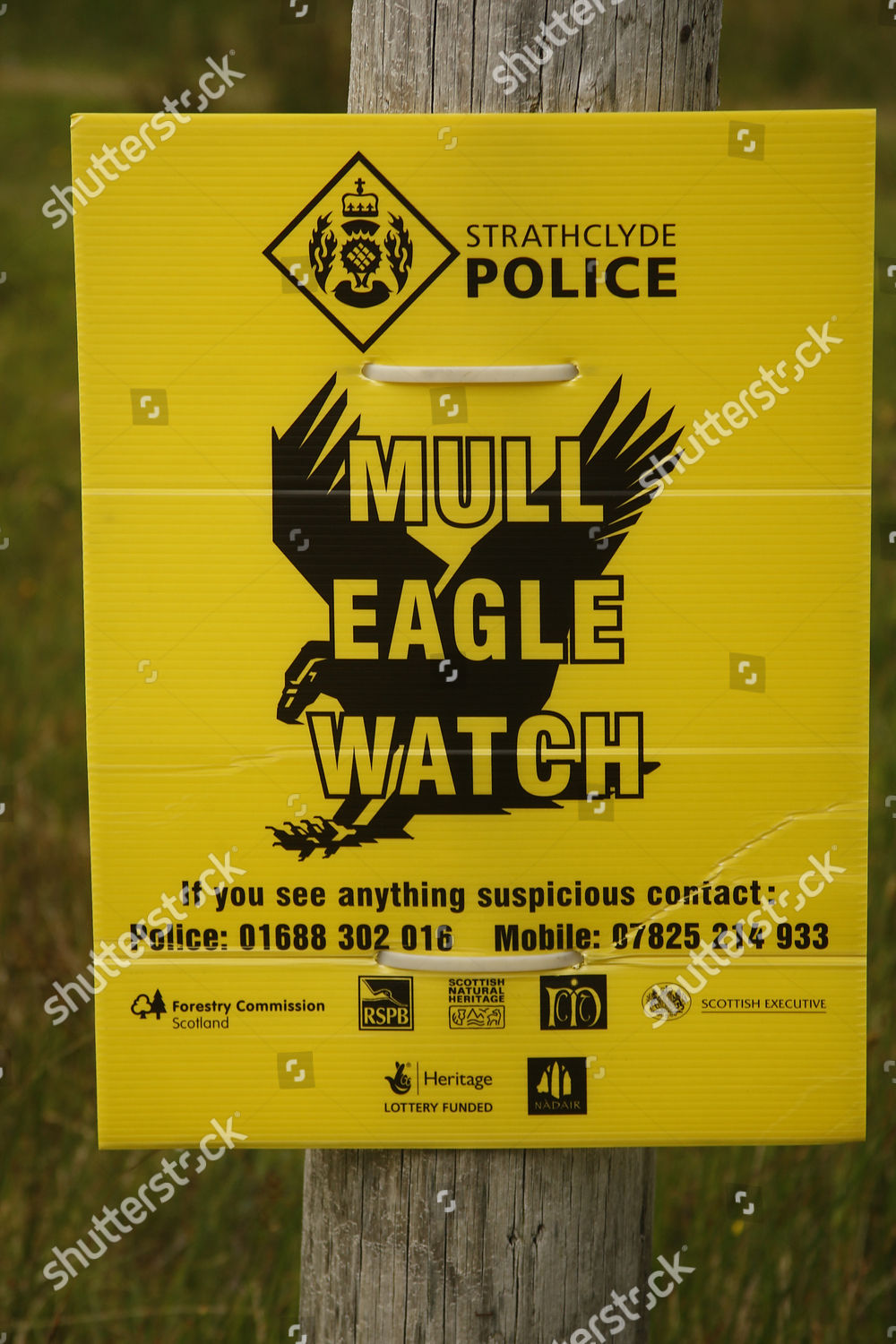 Mull Eagle Watch Sign Strathclyde Police Editorial Stock Photo - Stock ...
