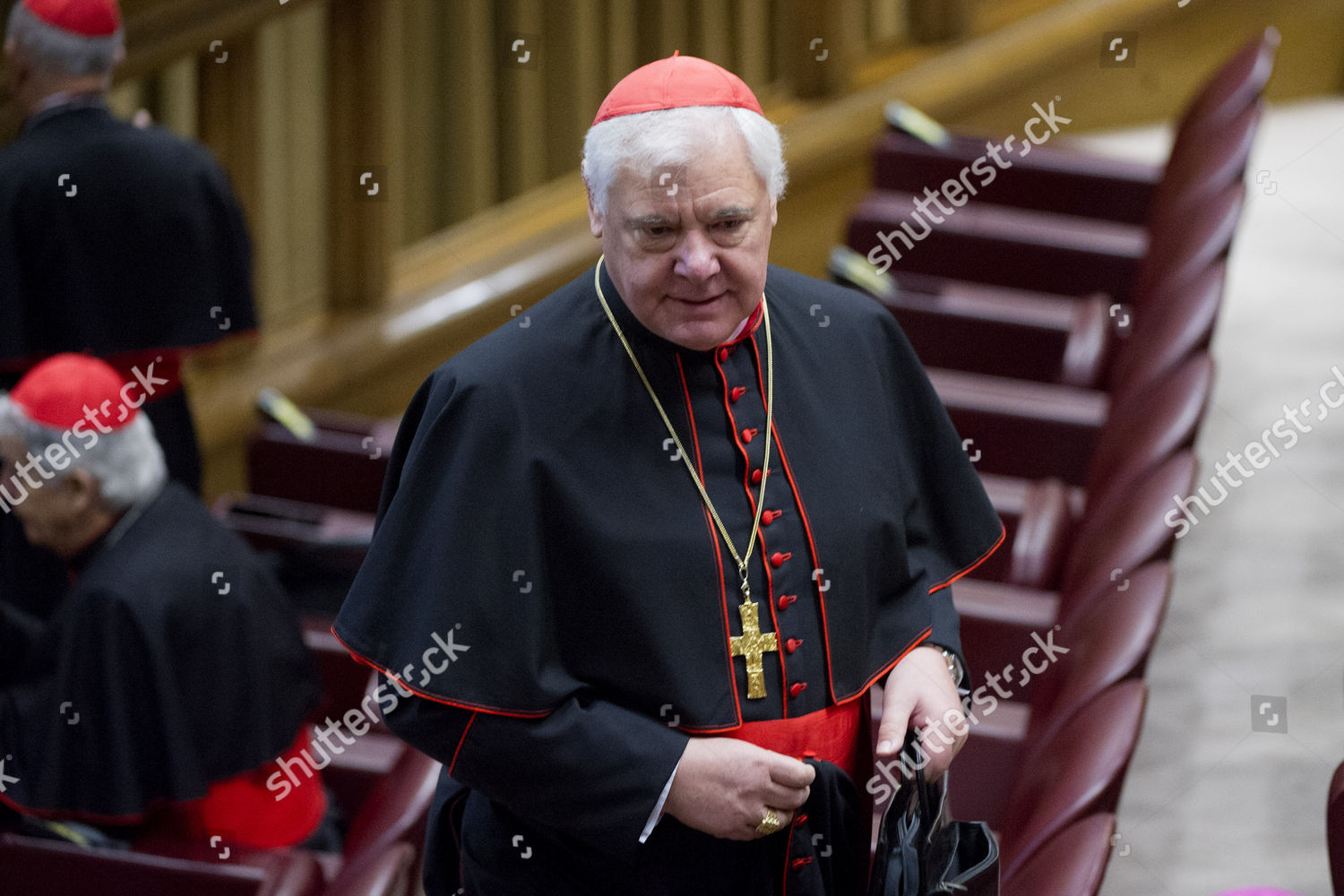 Cardinal Gerhard Ludwig Muller Editorial Stock Photo - Stock Image ...