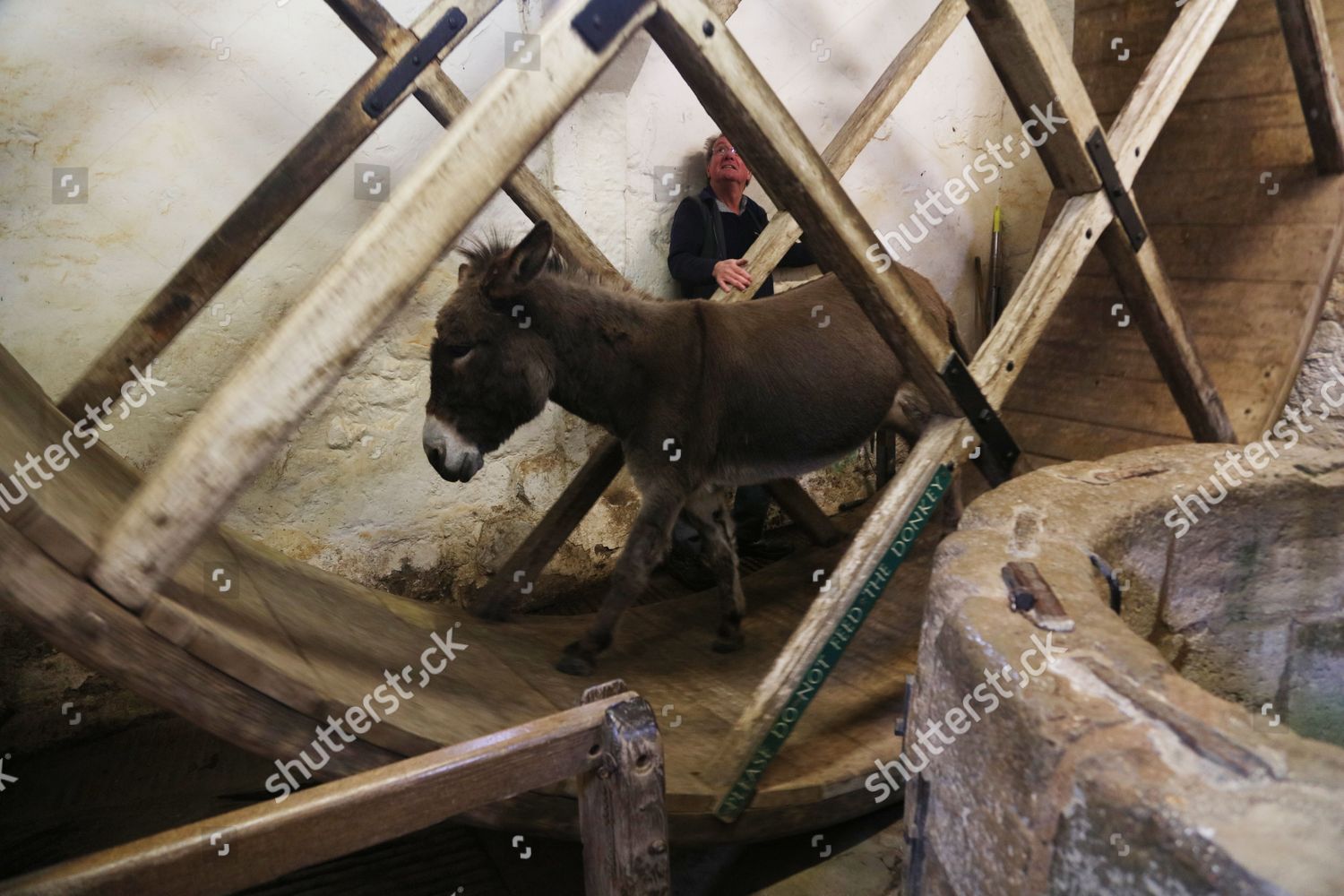 Donkey On Treadmill Drawing Water Well Editorial Stock Photo - Stock ...
