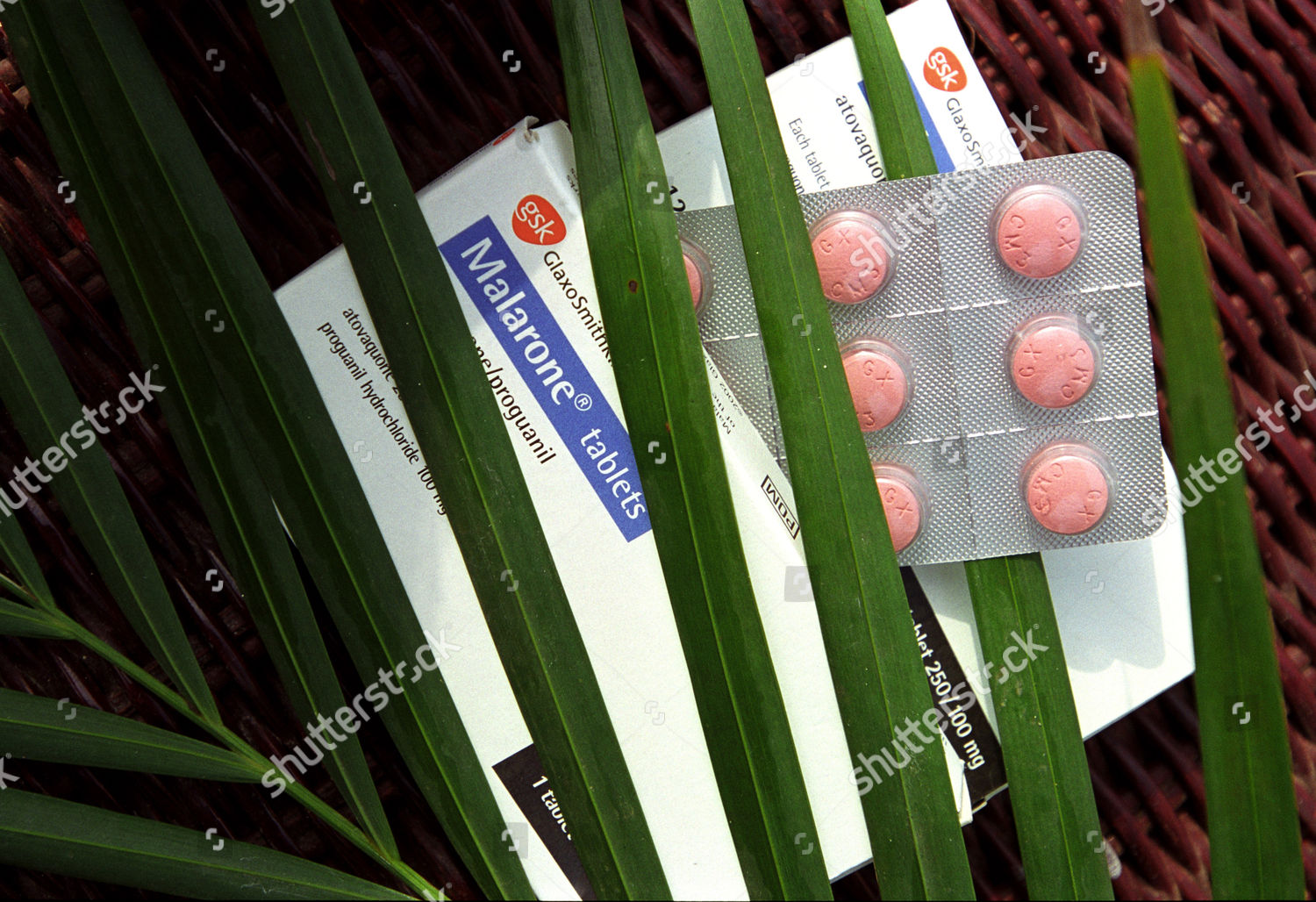 One Most Popular Anti Malaria Tablets Editorial Stock Photo - Stock ...