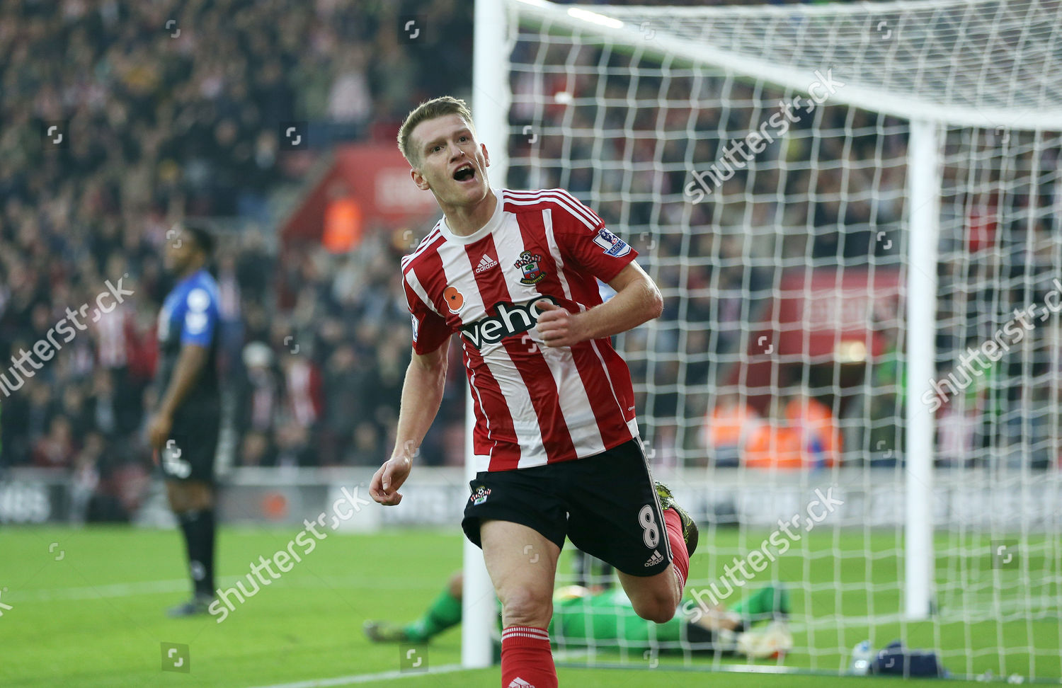Steven Davis Southampton Celebrates After Scoring Editorial Stock Photo ...